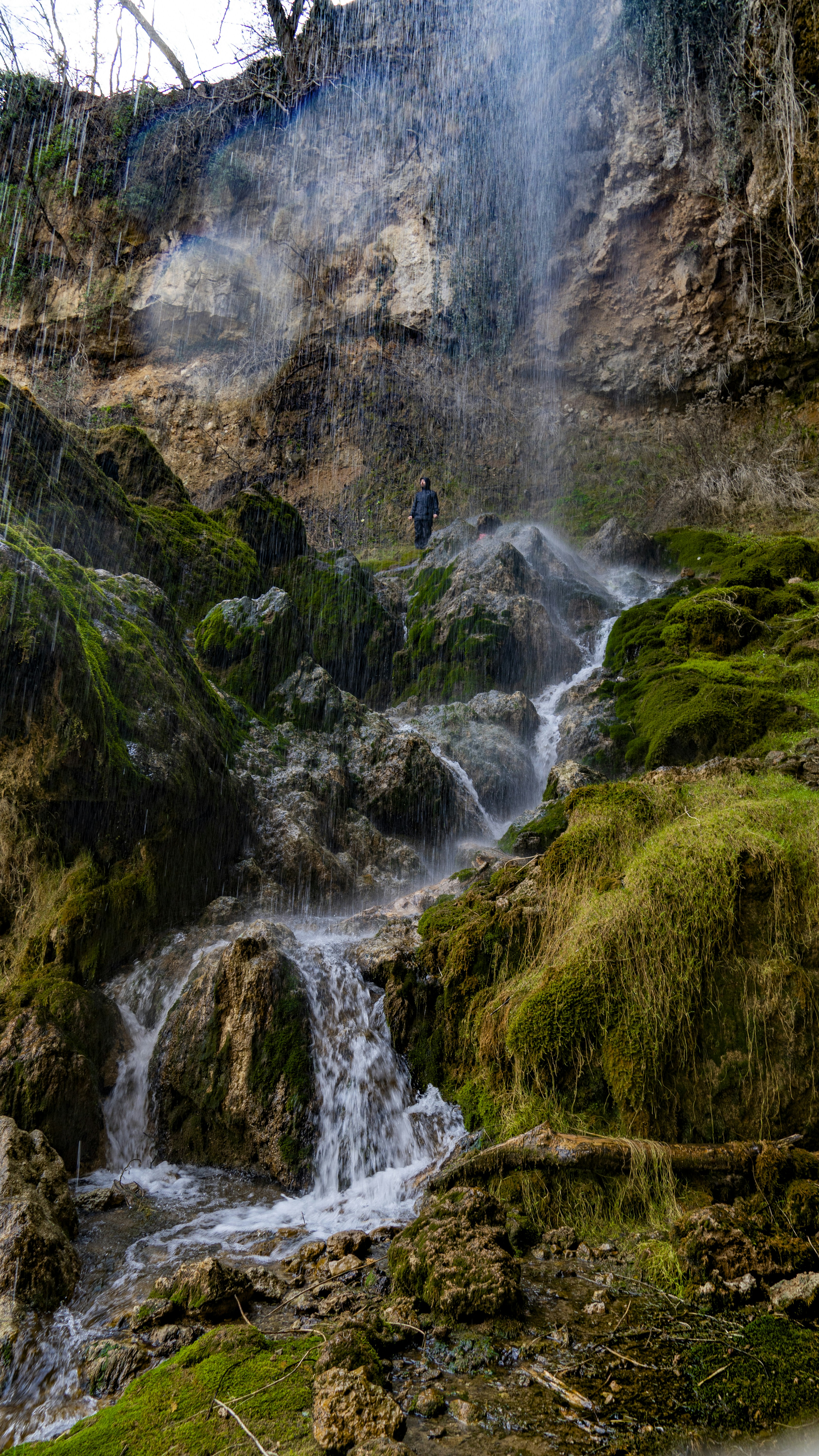 a stream of water running through a lush green forest
