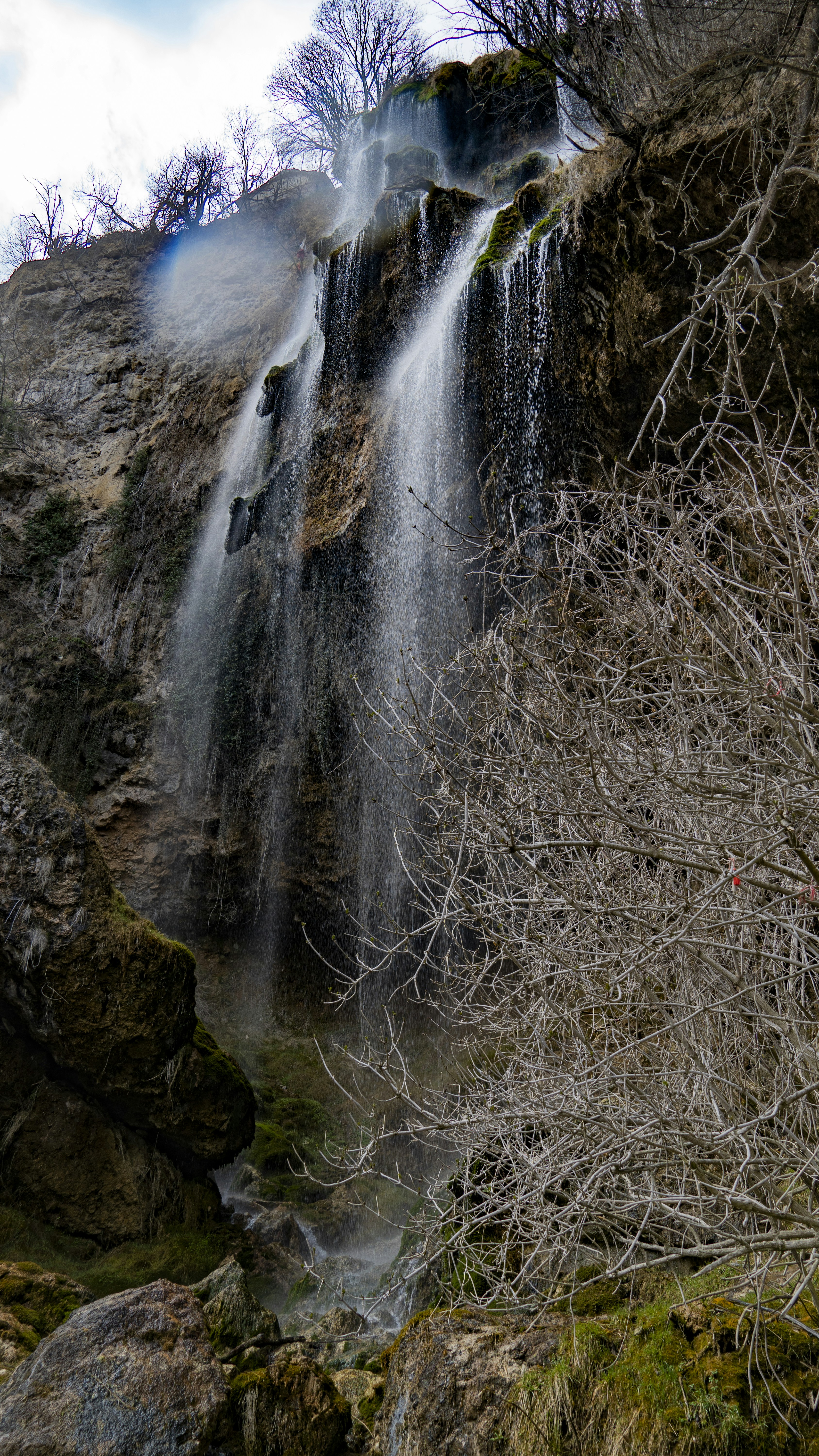 Veil of Moss and Waterfall: A Cascade Framing the Cliff