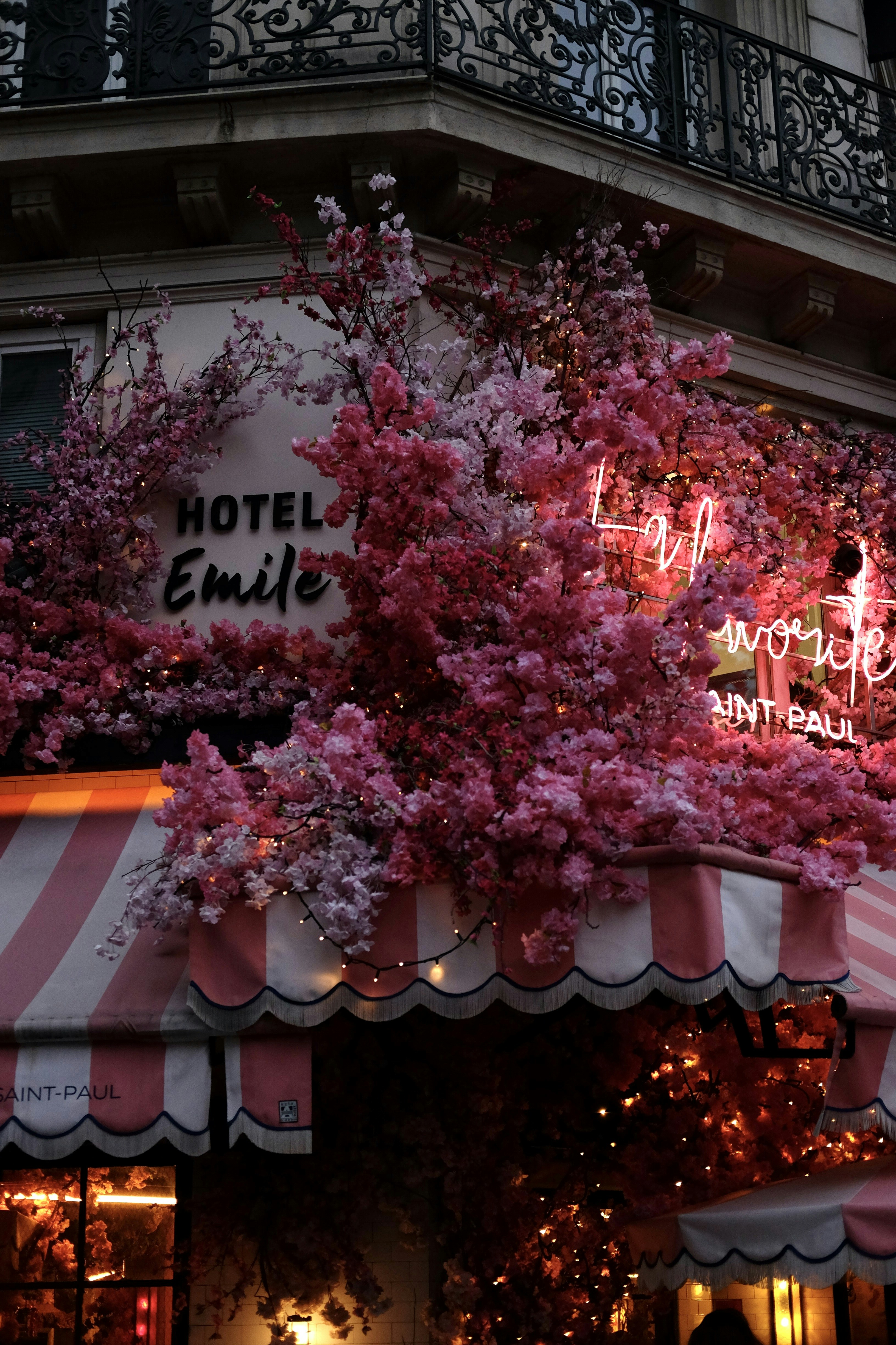 Crimson Bloom Canopy Over Hôtel Emile