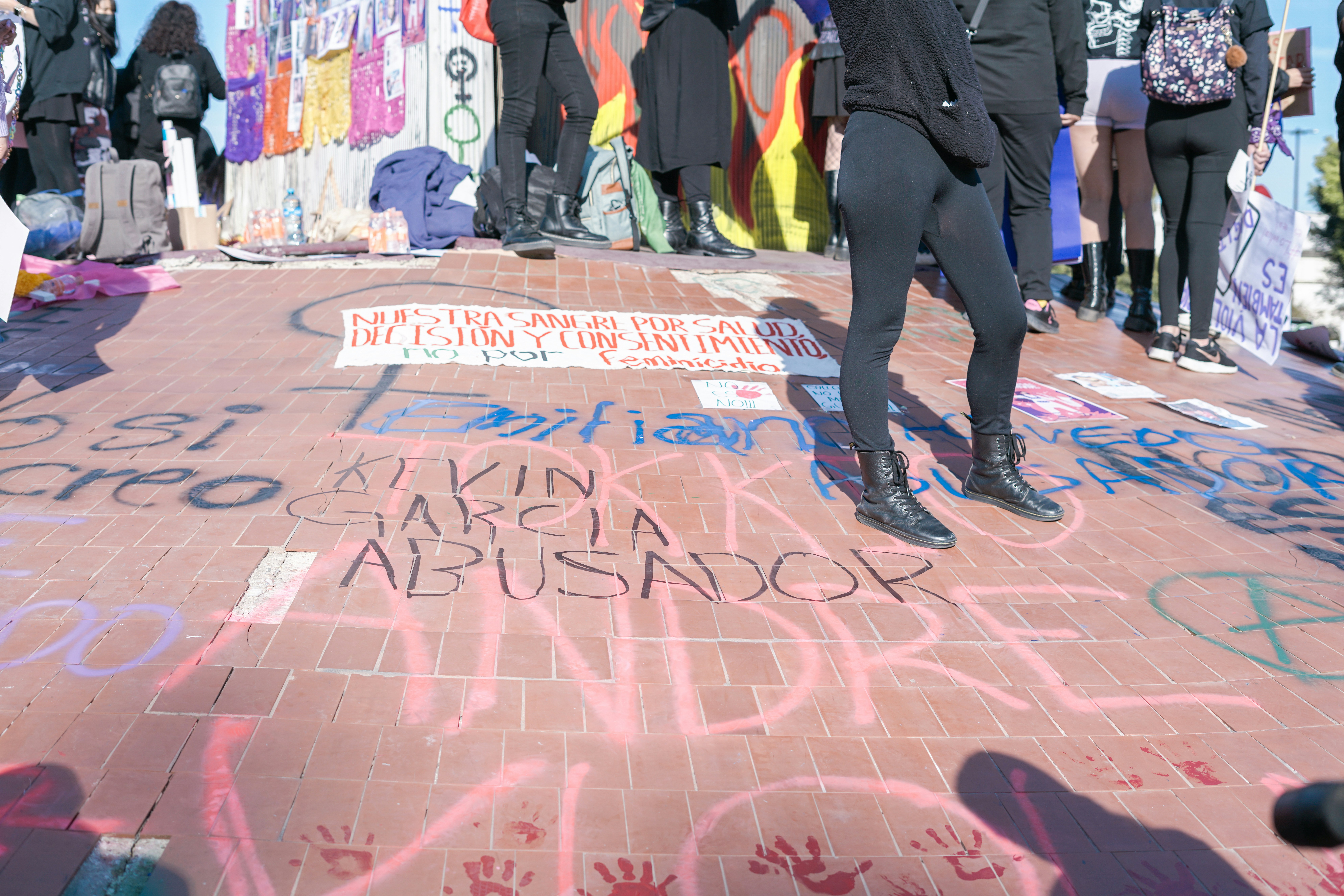 Photo by Barbara Zandoval with Sony Alpha 7R II