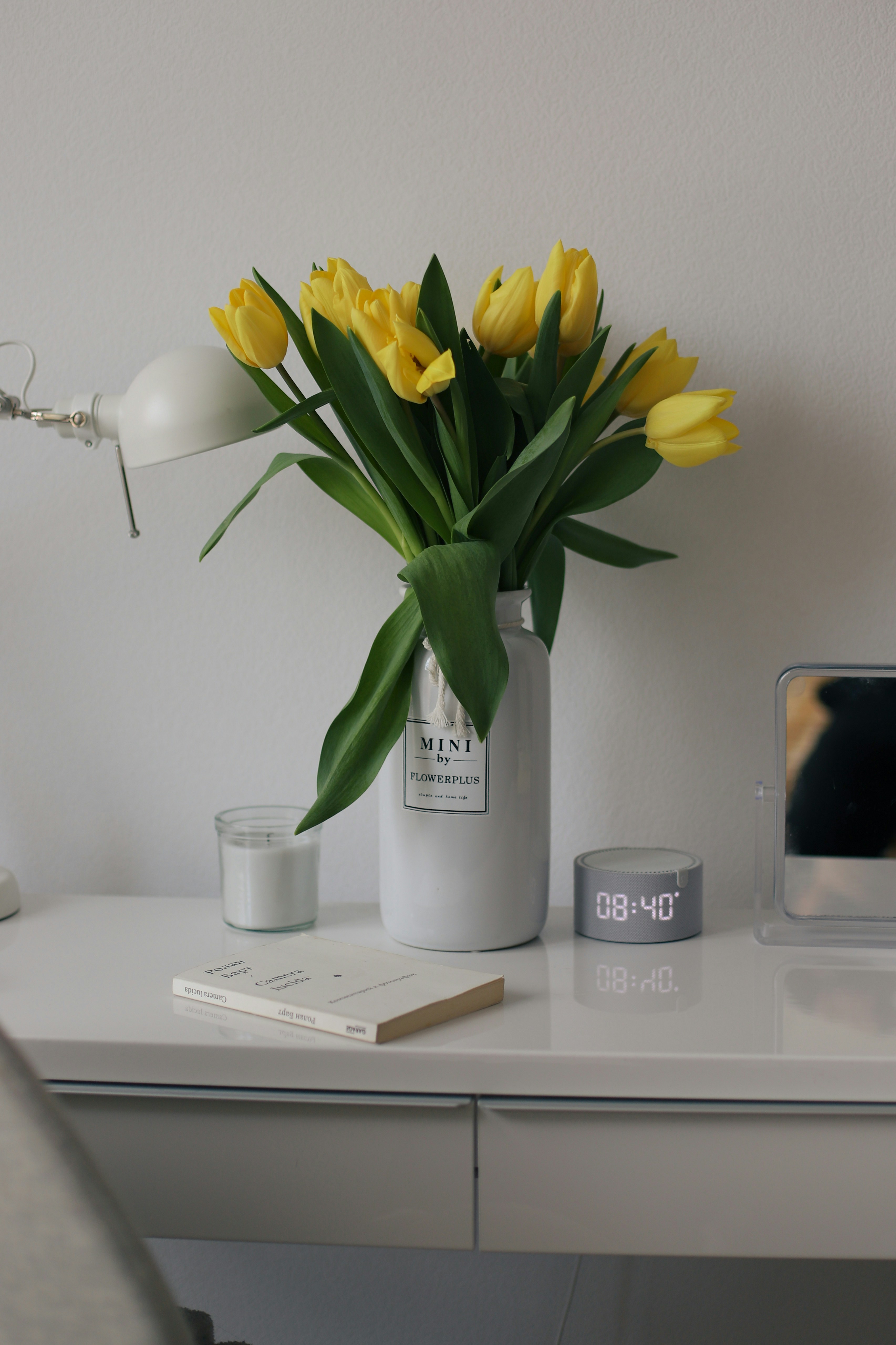 Sunlit Tulips in a Matte White Vase: A Quiet Desk Still-Life