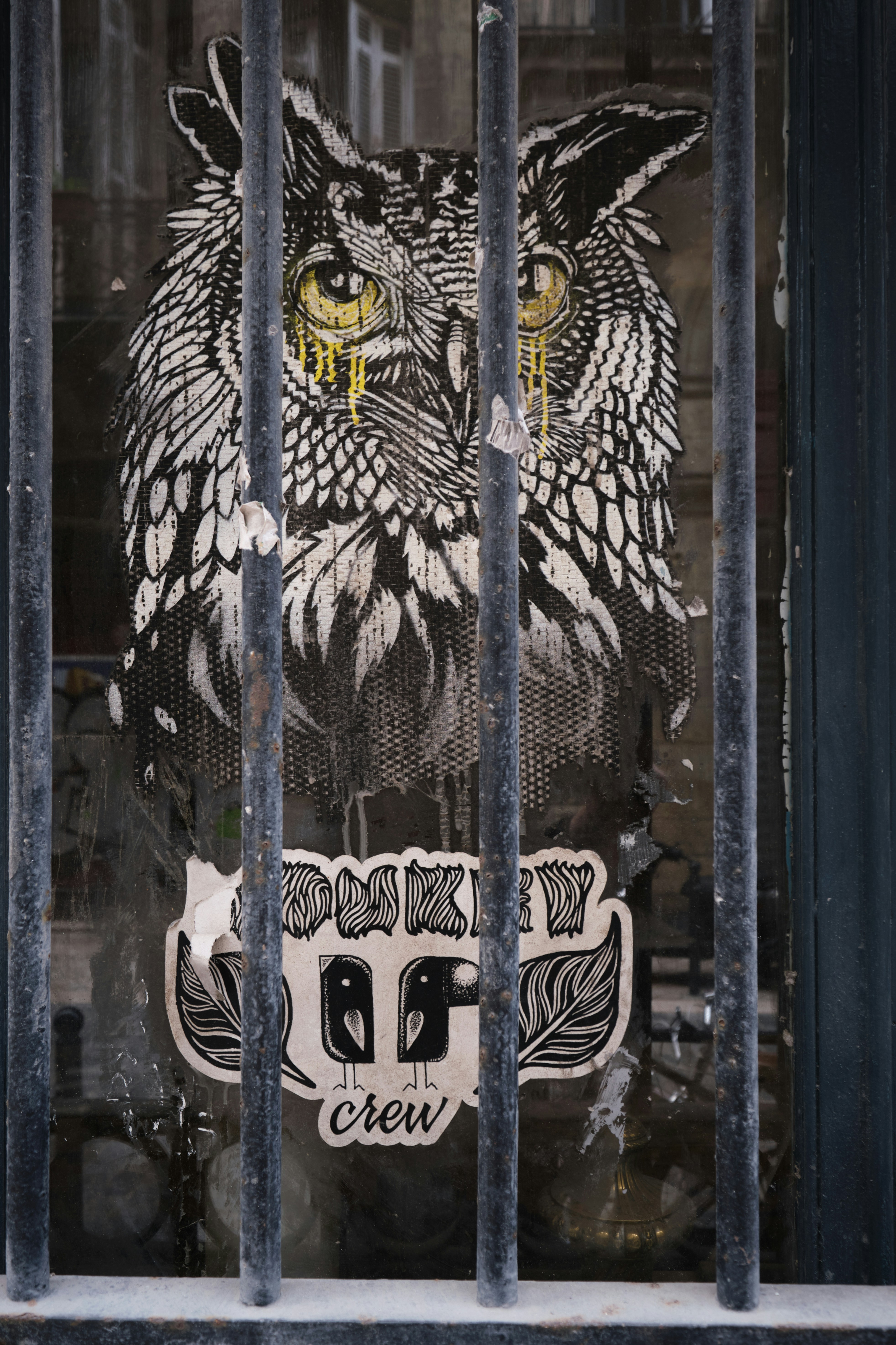 A window with a picture of an owl behind bars photo – Free Bordeaux ...