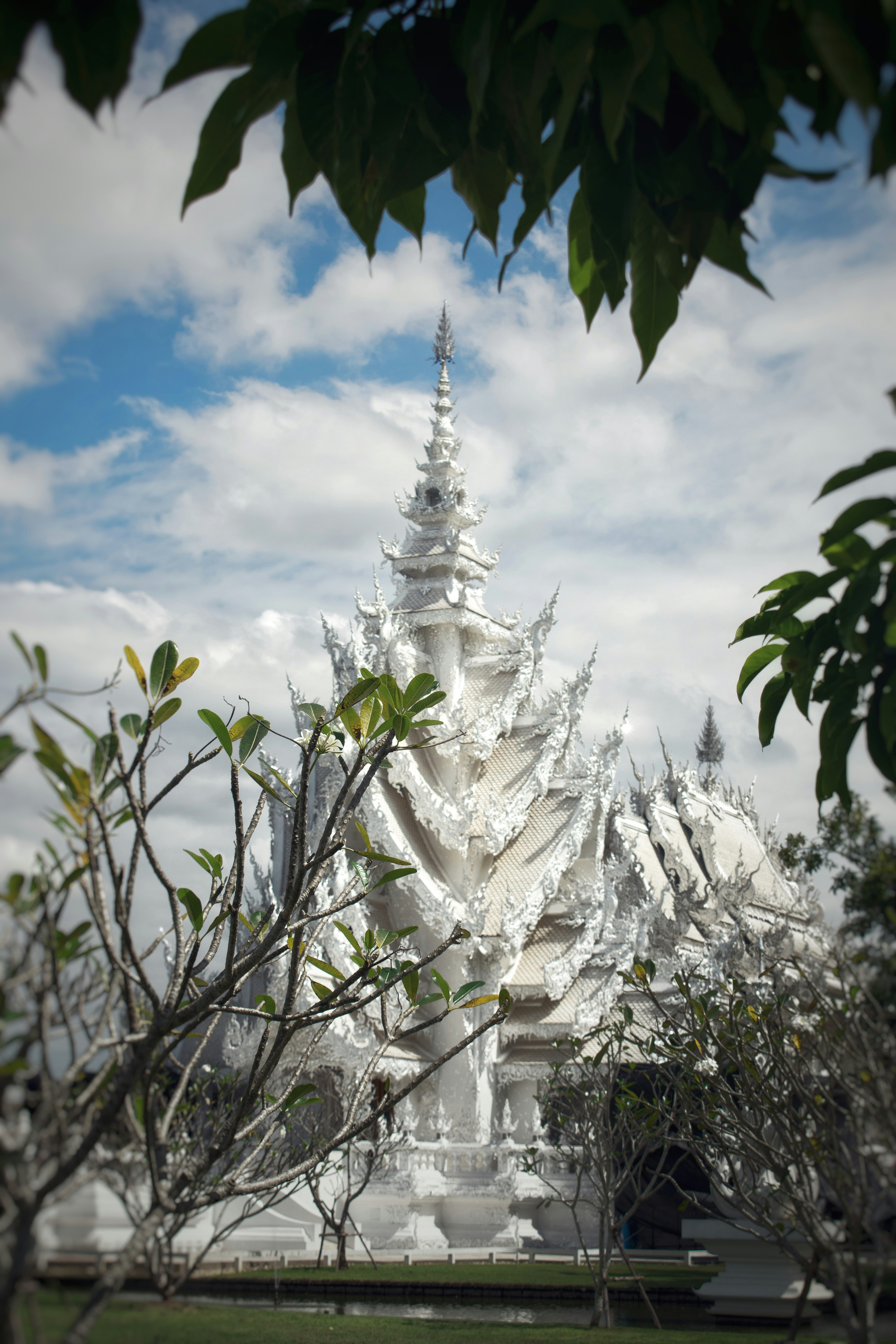 Ivory Spire Surrounded by Silent Foliage