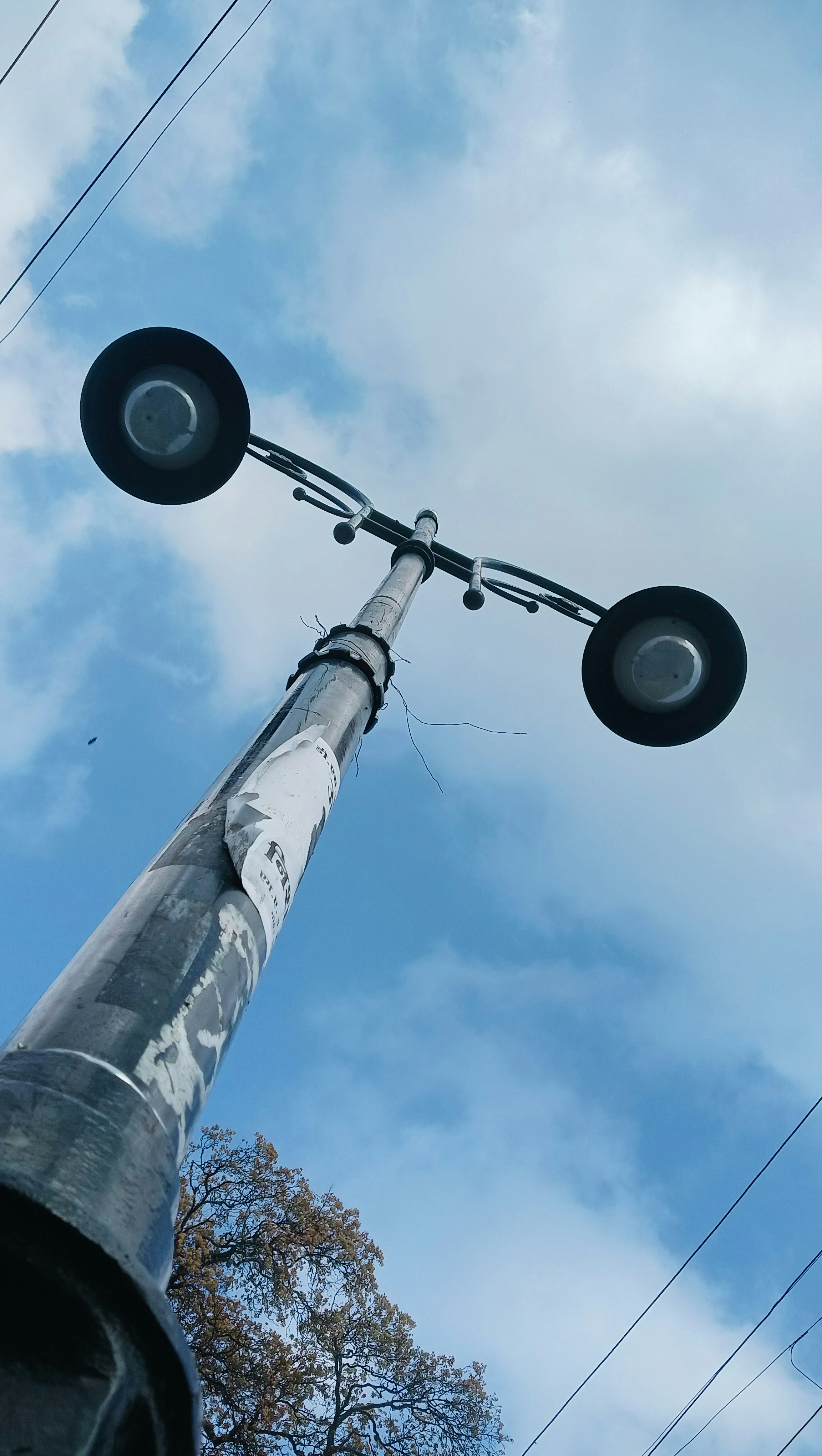 Uplifted Dual-Lamp: A Quiet Moment Under a Sky-Blue Canopy