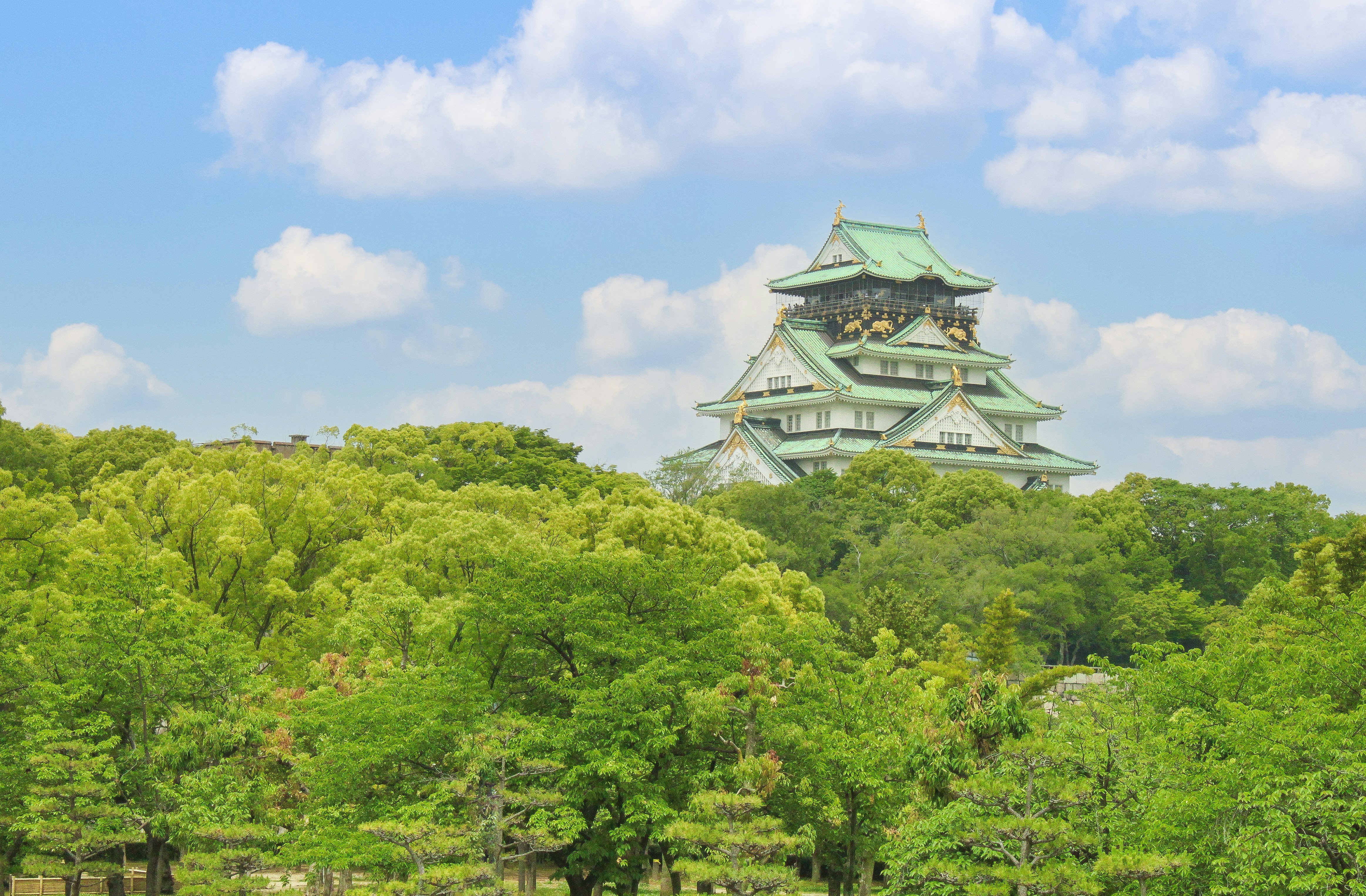 Historic castle stands prominently above lush green trees under a bright blue sky.