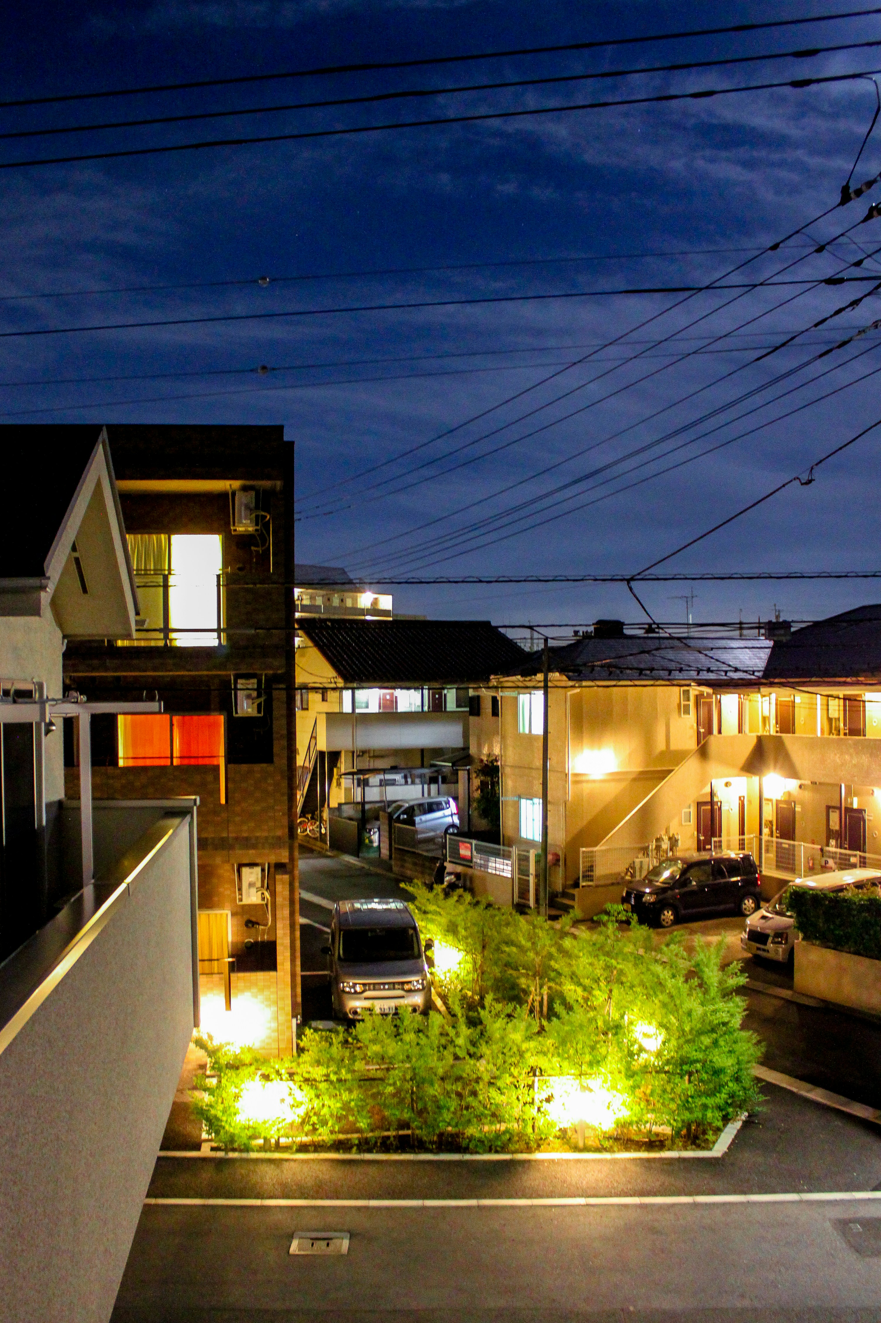 Illuminated garden in a residential area at dusk, surrounded by buildings and power lines. The scene captures a tranquil moment in urban life.