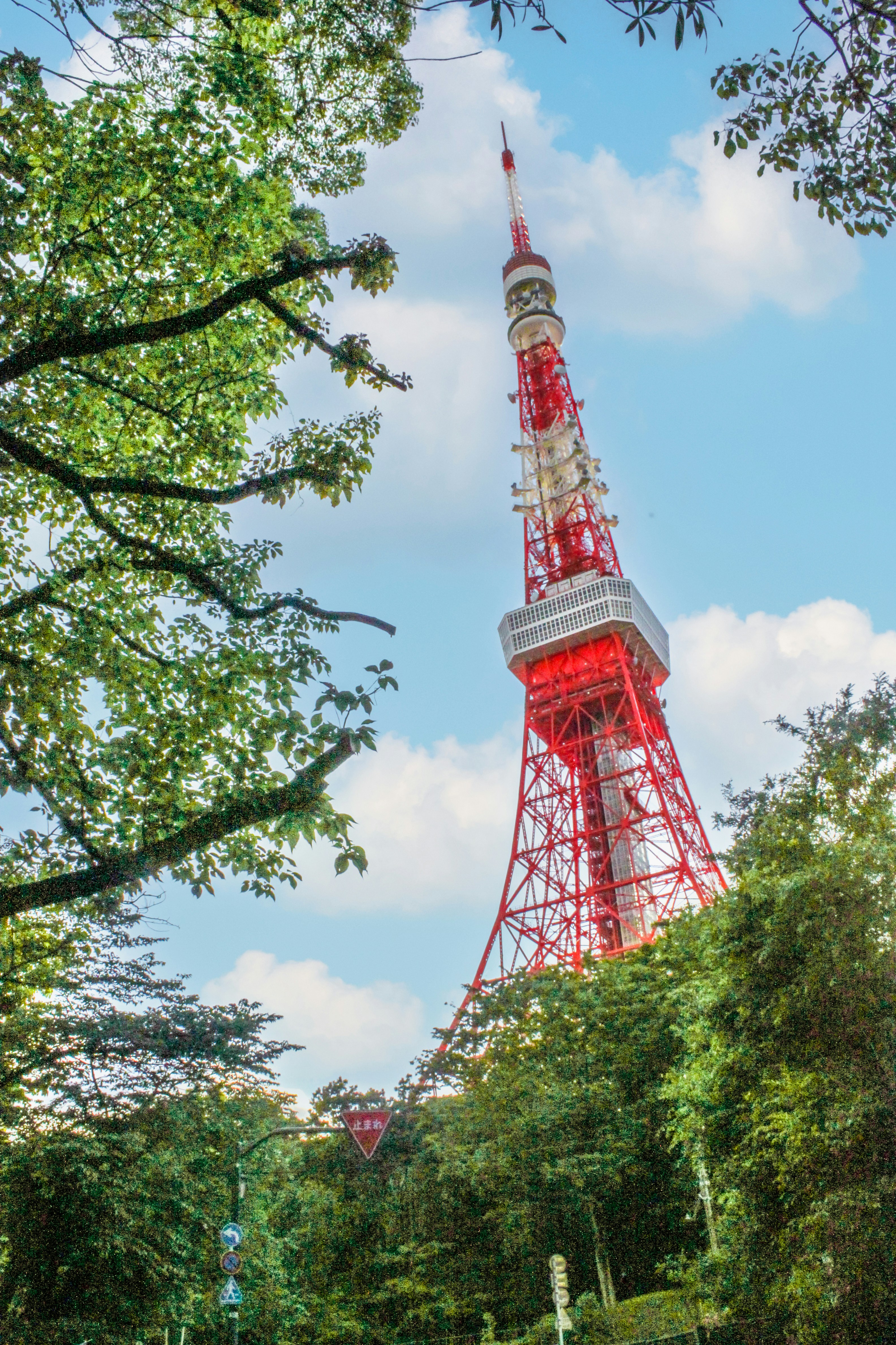 Tokyo Tower in Green Canopy: A Sky-ward Red Signal