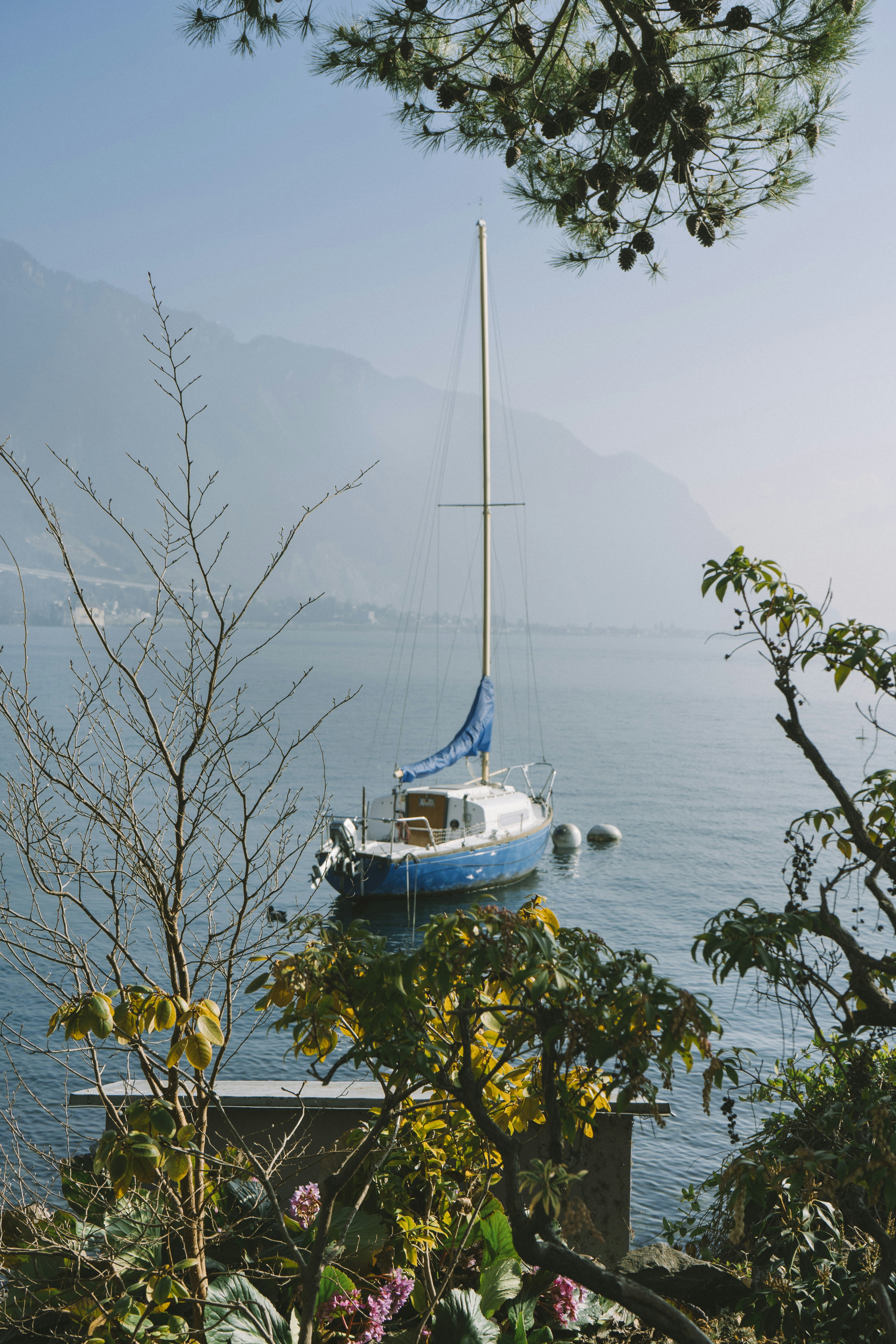 Photo by Logan Gouget with Sony Alpha 7 III