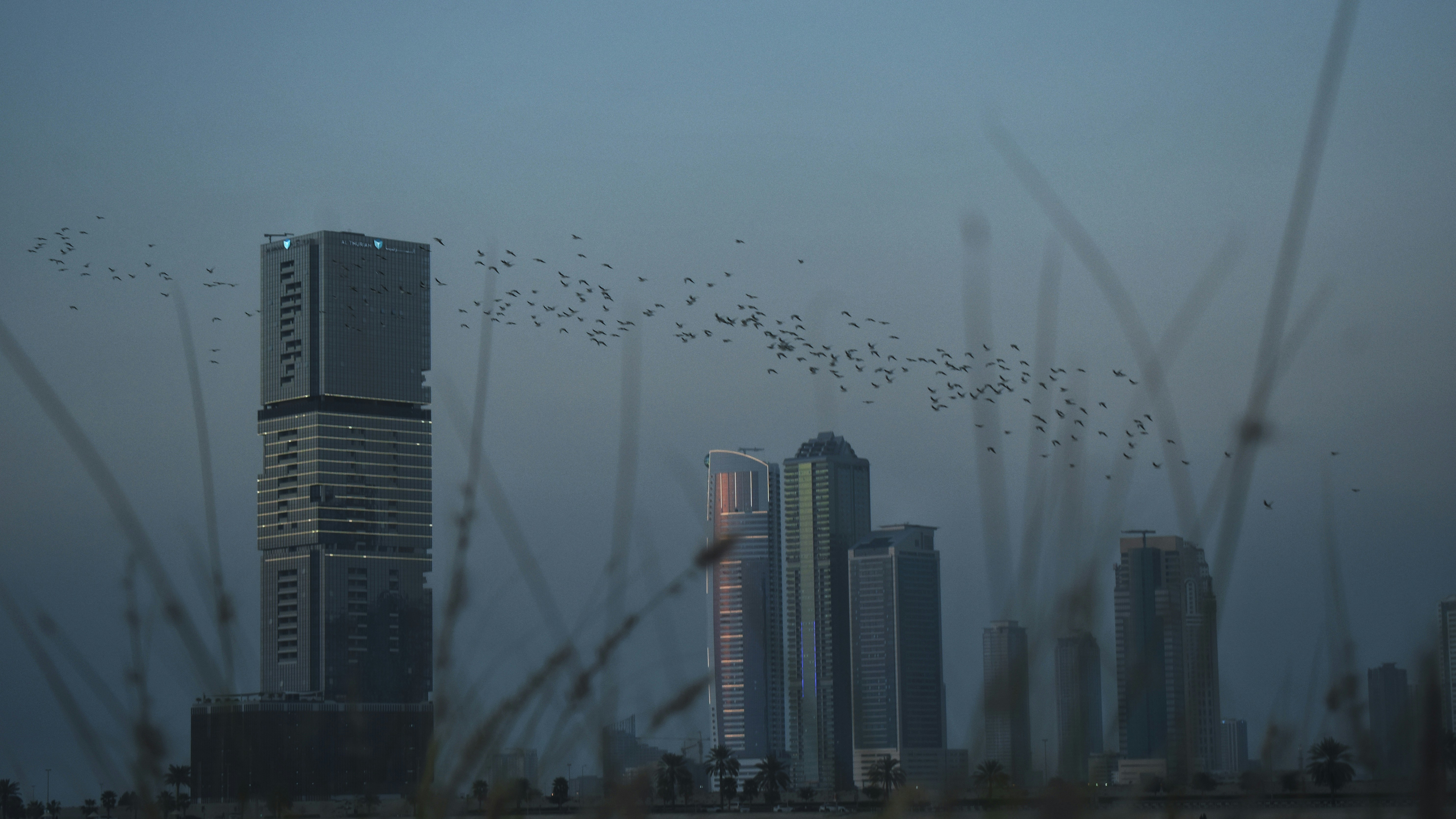 Urban Serenade: A Dance of Skyscrapers and Flight