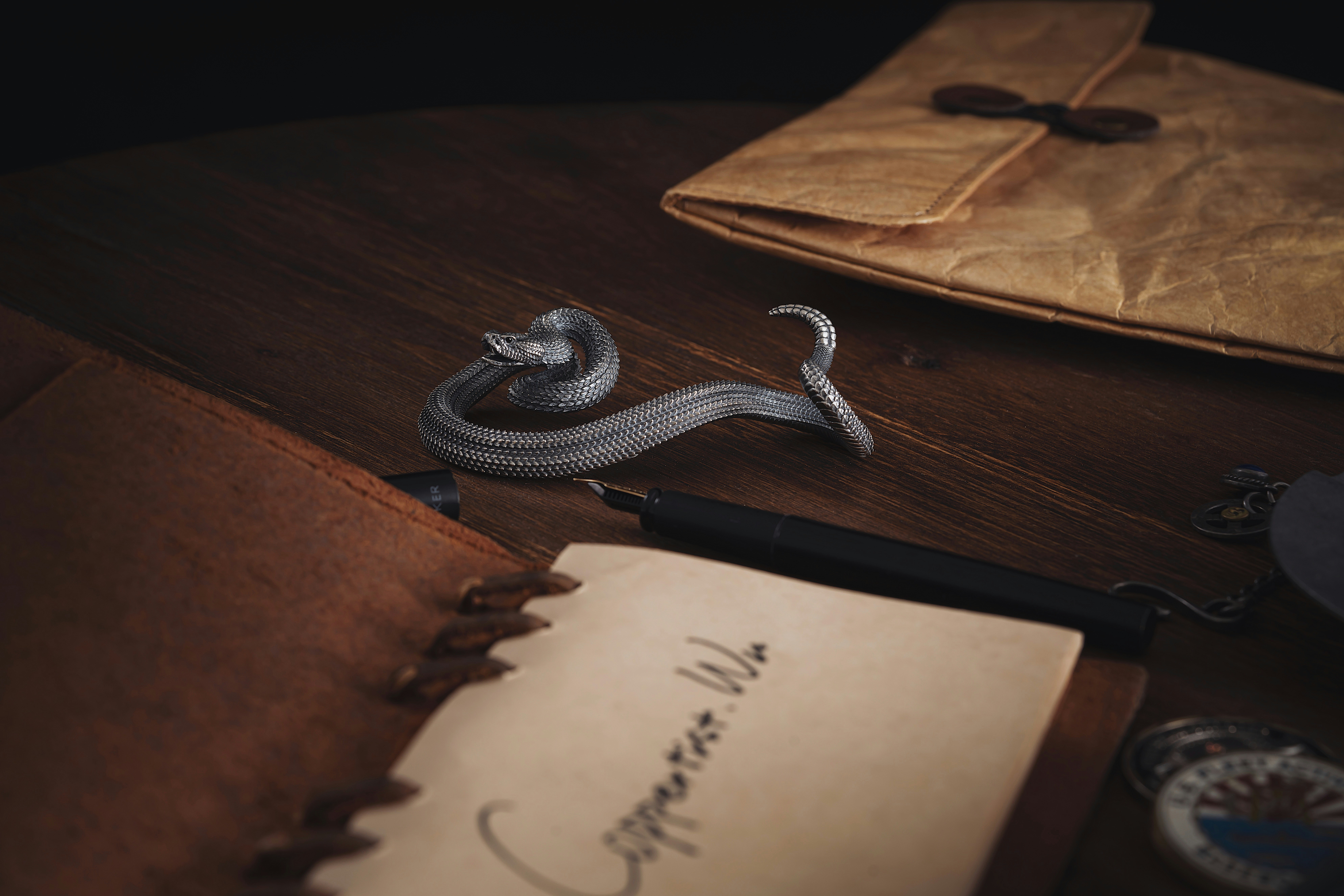 A snake on a table next to a notebook and pen photo – Free Screw Image ...