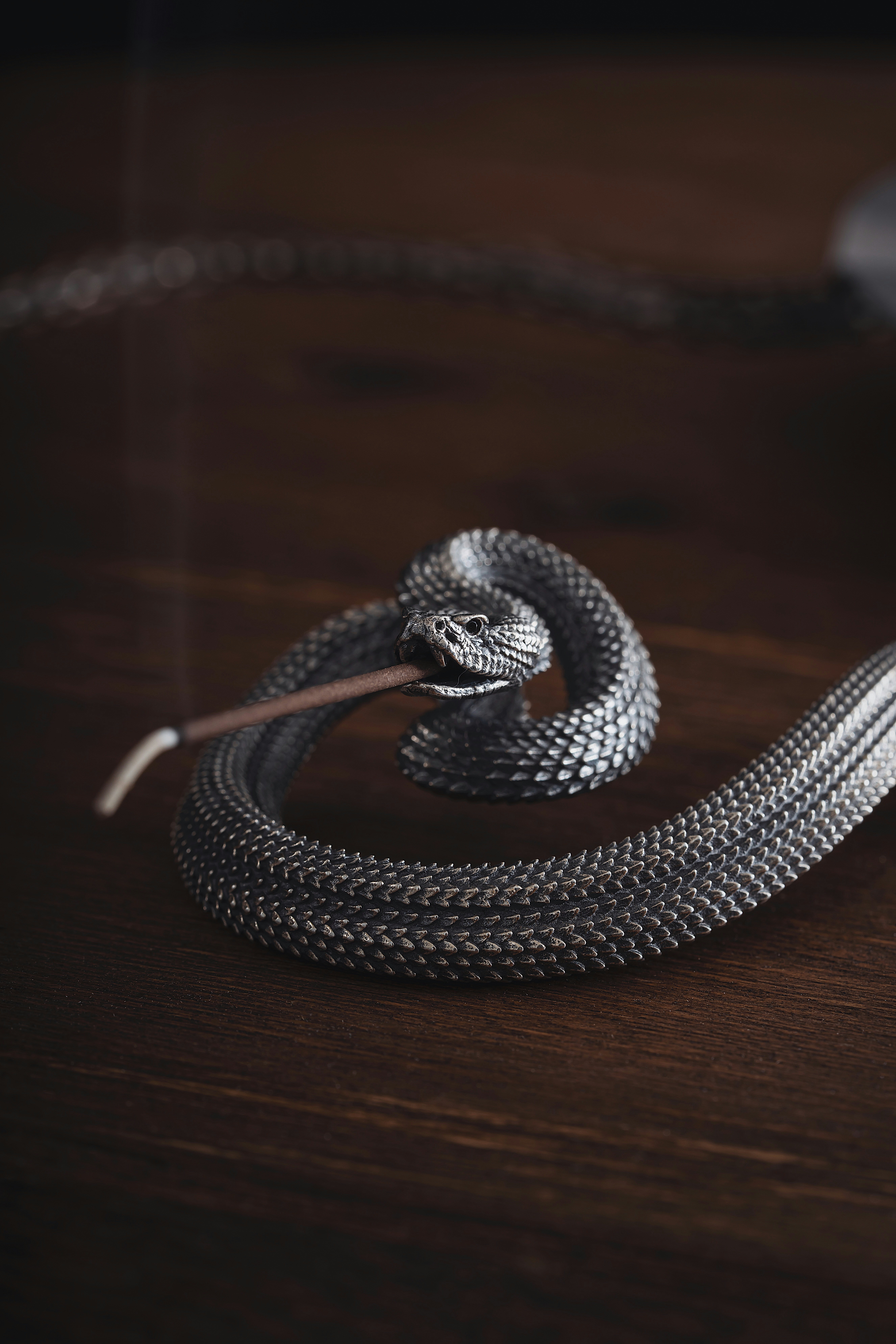 A snake is on a table with a cord photo – Free Animal Image on Unsplash