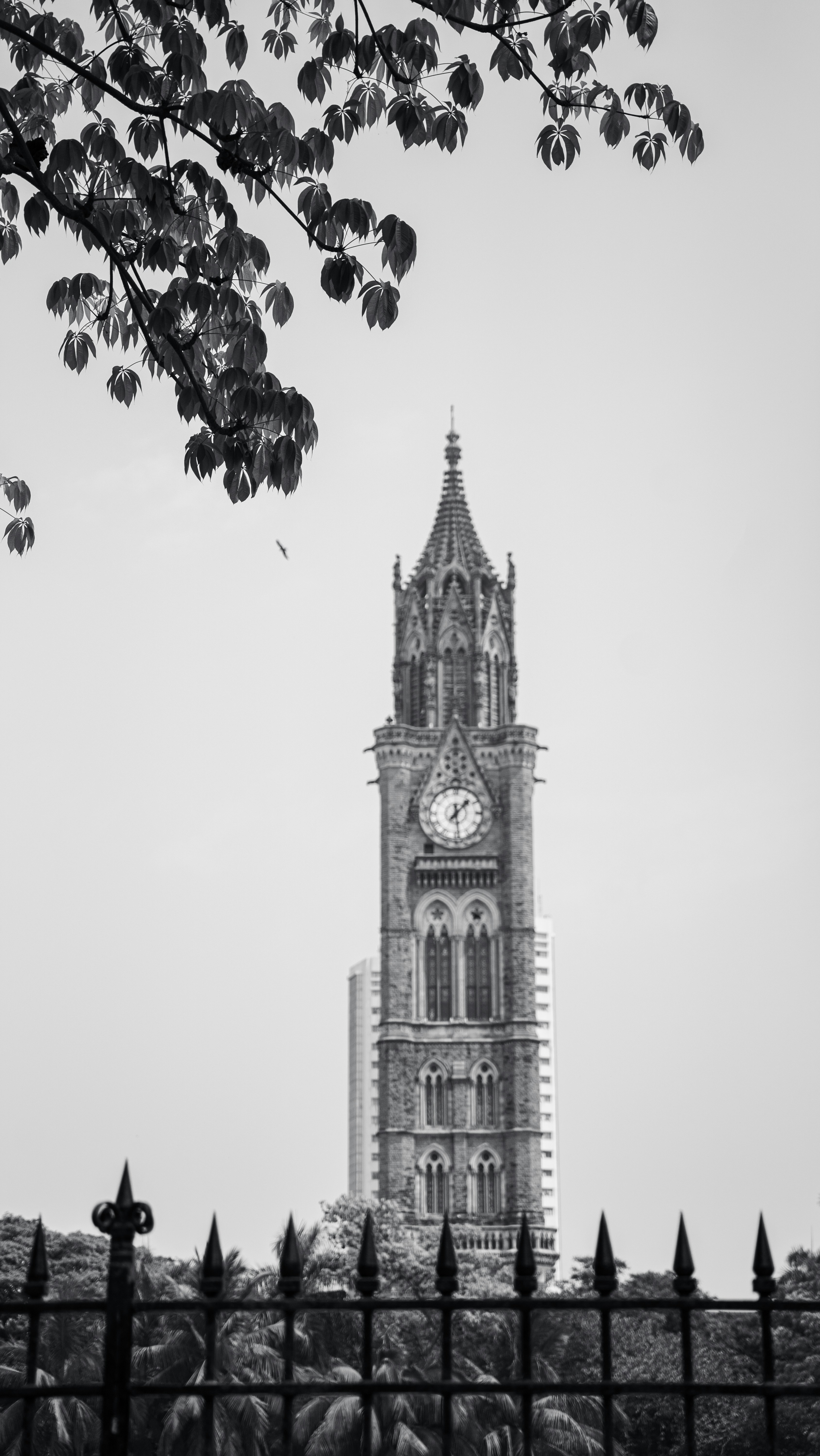 Photo by Karthick Gislen with Sony Alpha 7 III