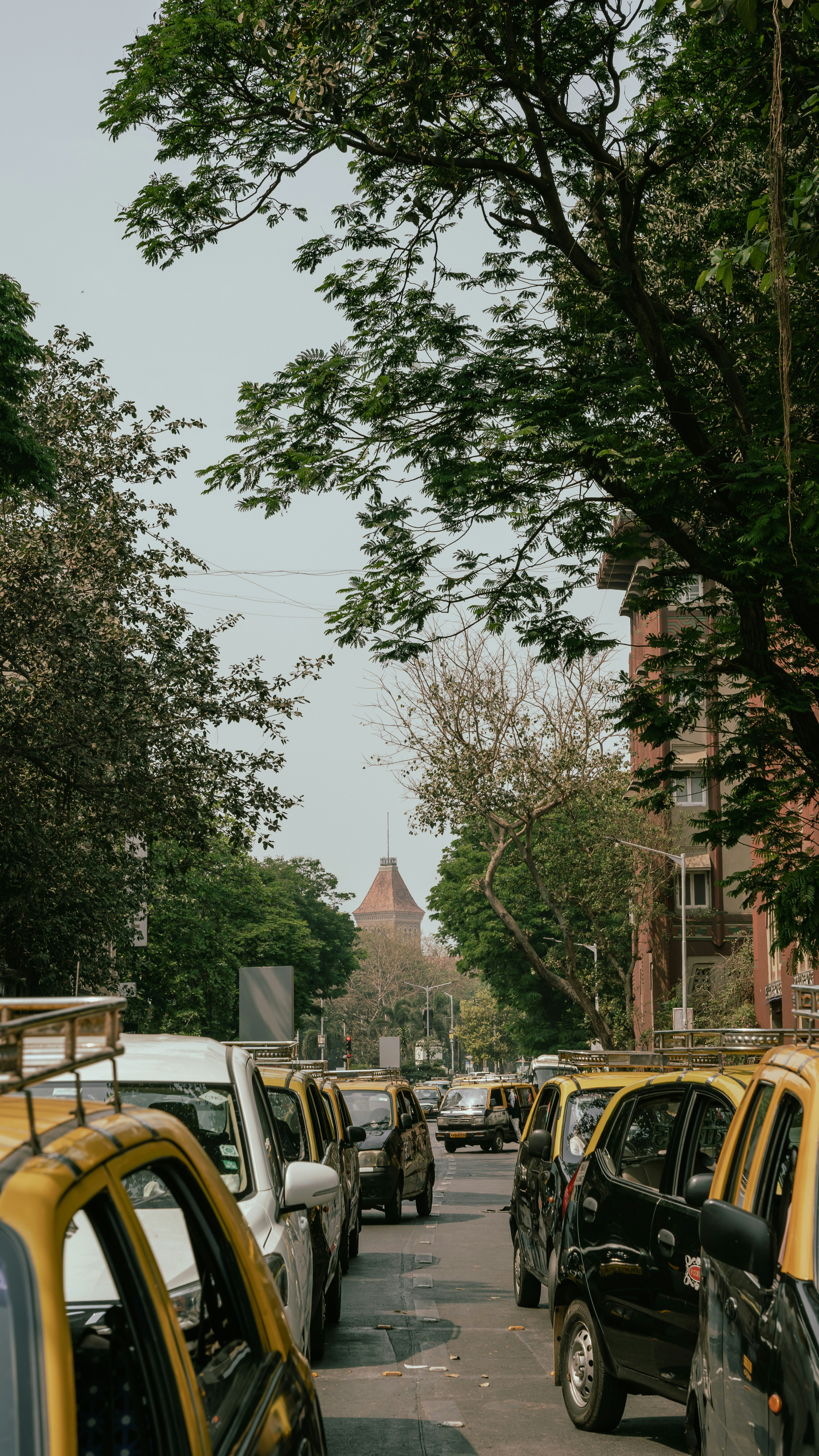 Photo by Karthick Gislen with Sony Alpha 7 III