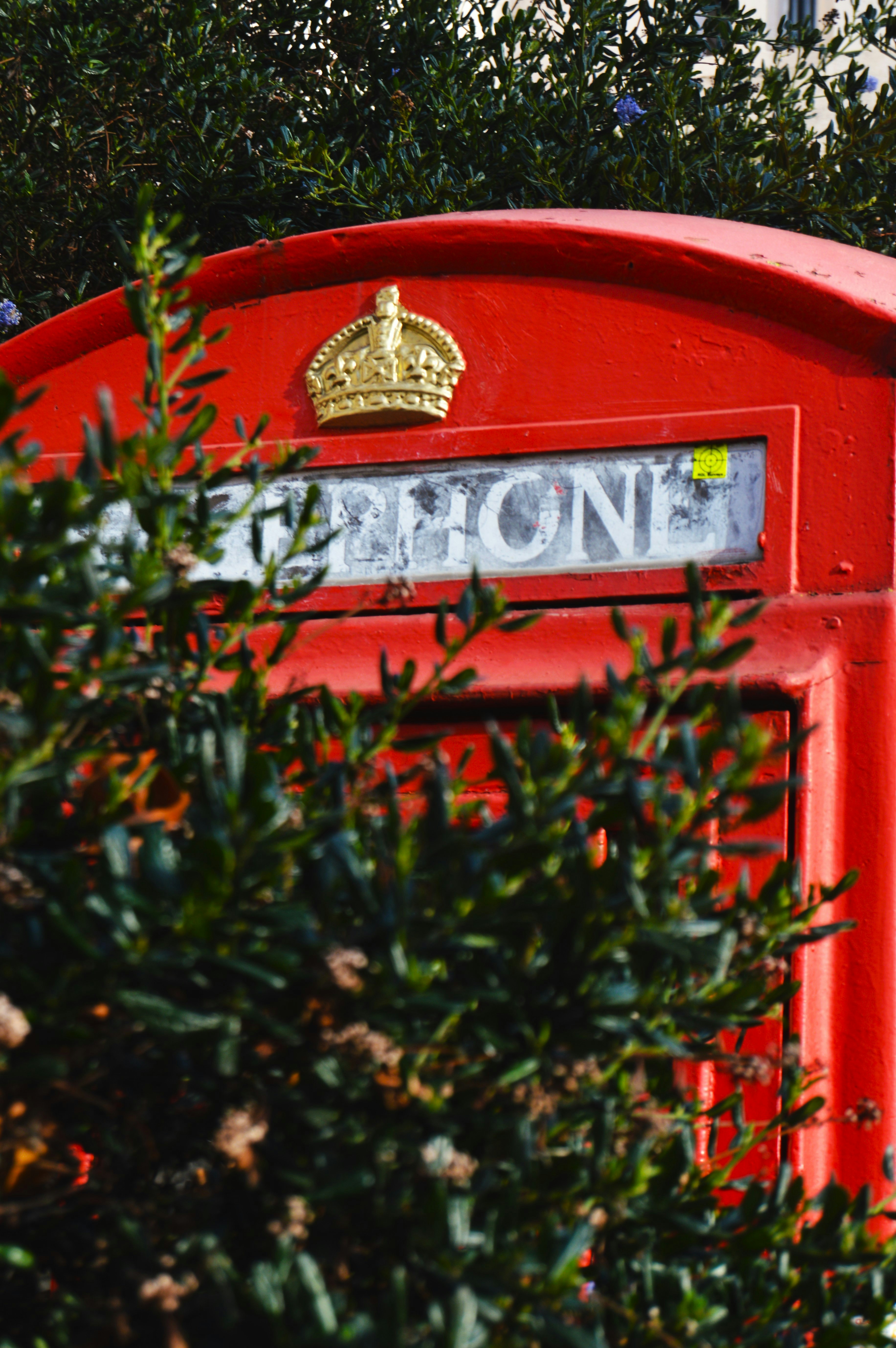 Crimson Royal Mail Postbox Emerging Through a Veil of Greenery