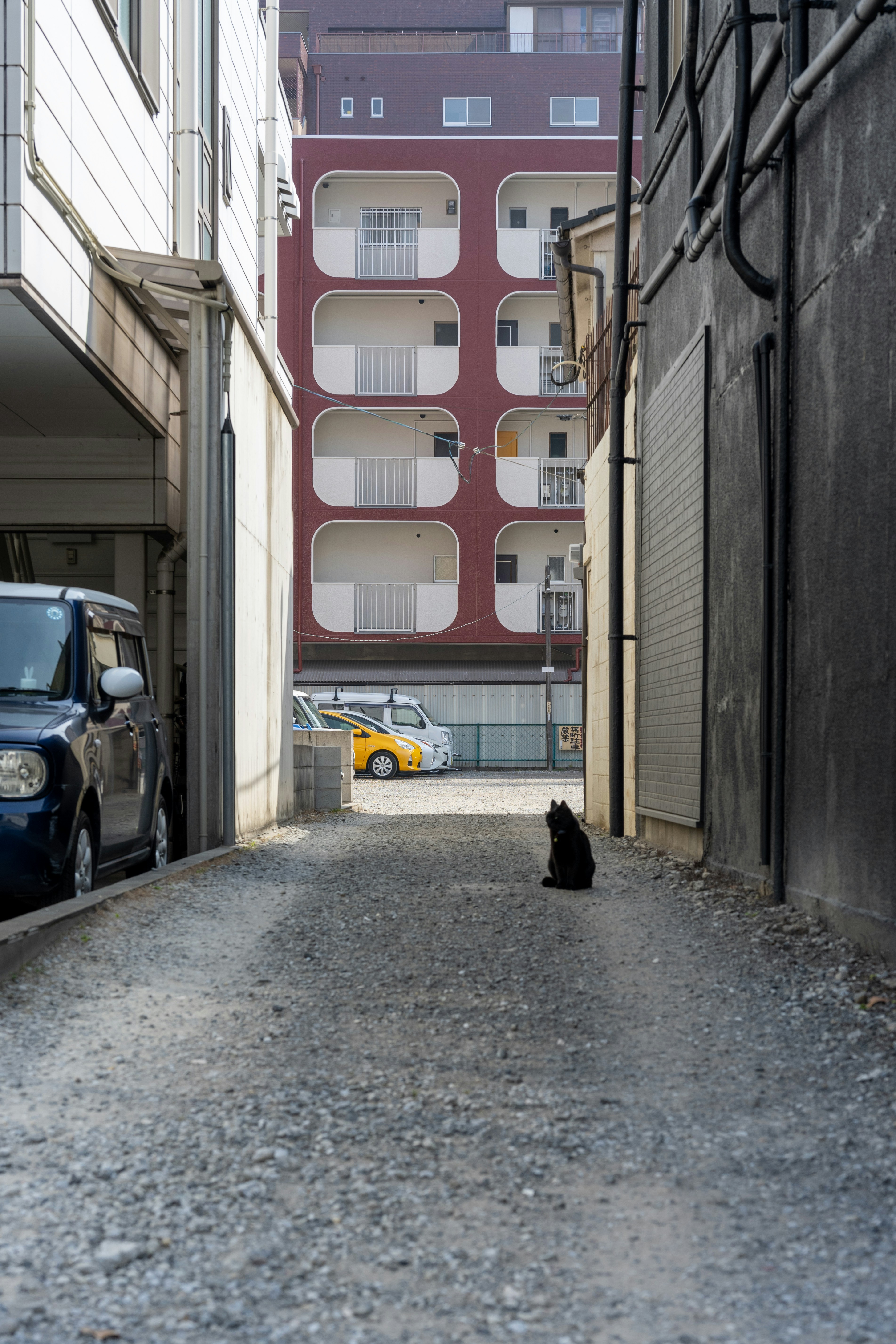 a black cat sitting in an alley between two buildings