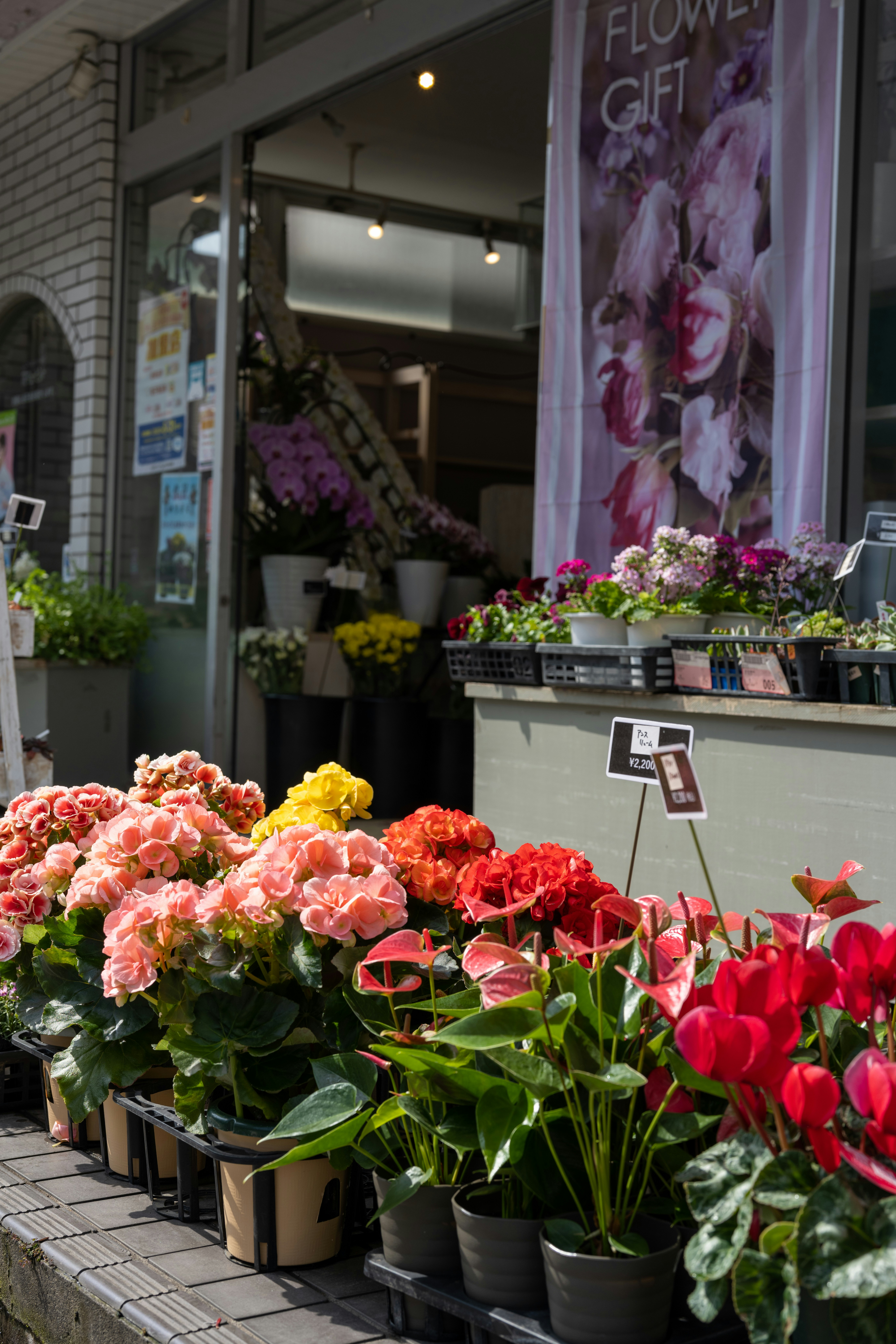 Photo by Kouji Tsuru with Nikon Z7 II