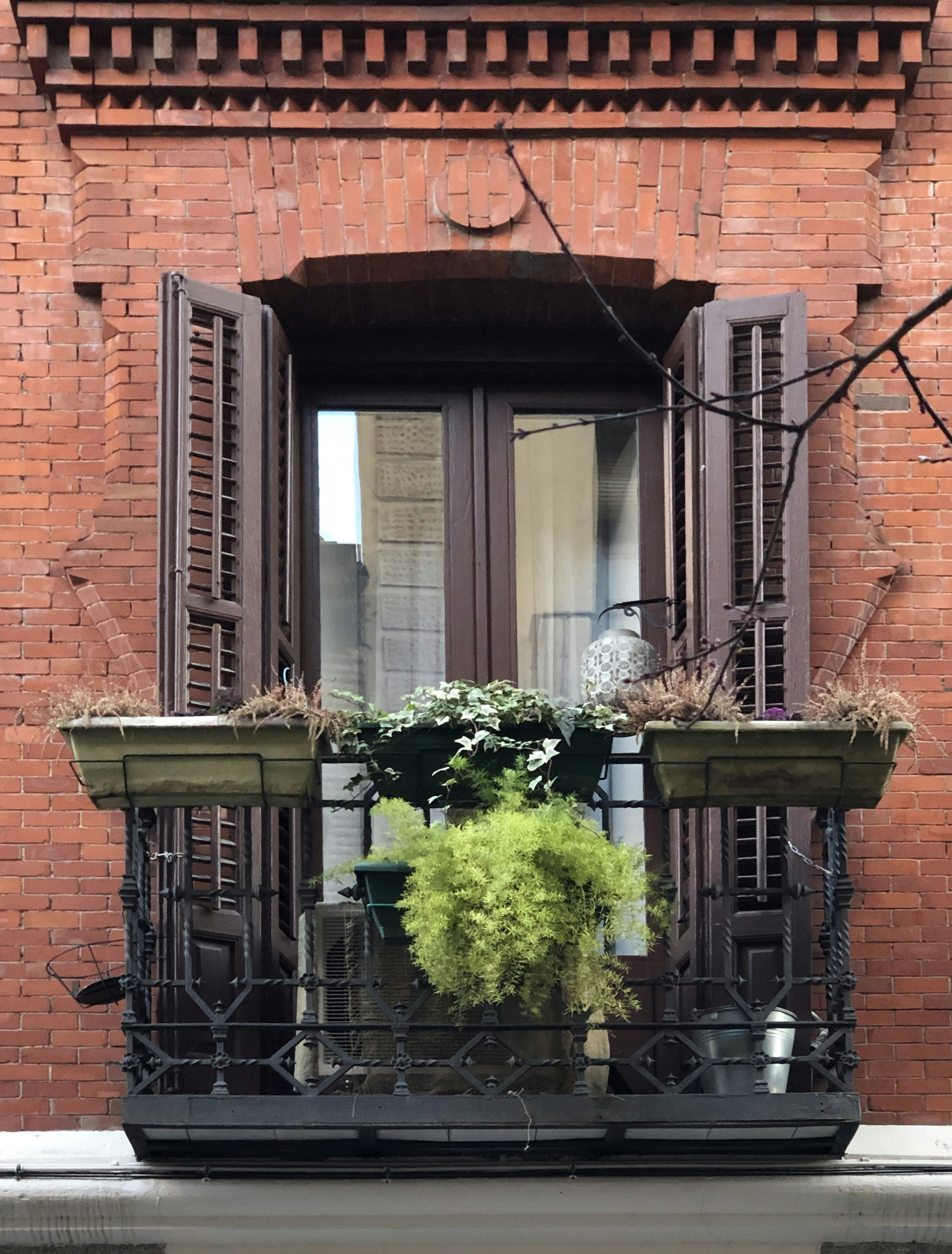Balcony Green: A Brick Facade Garden Framing a Window