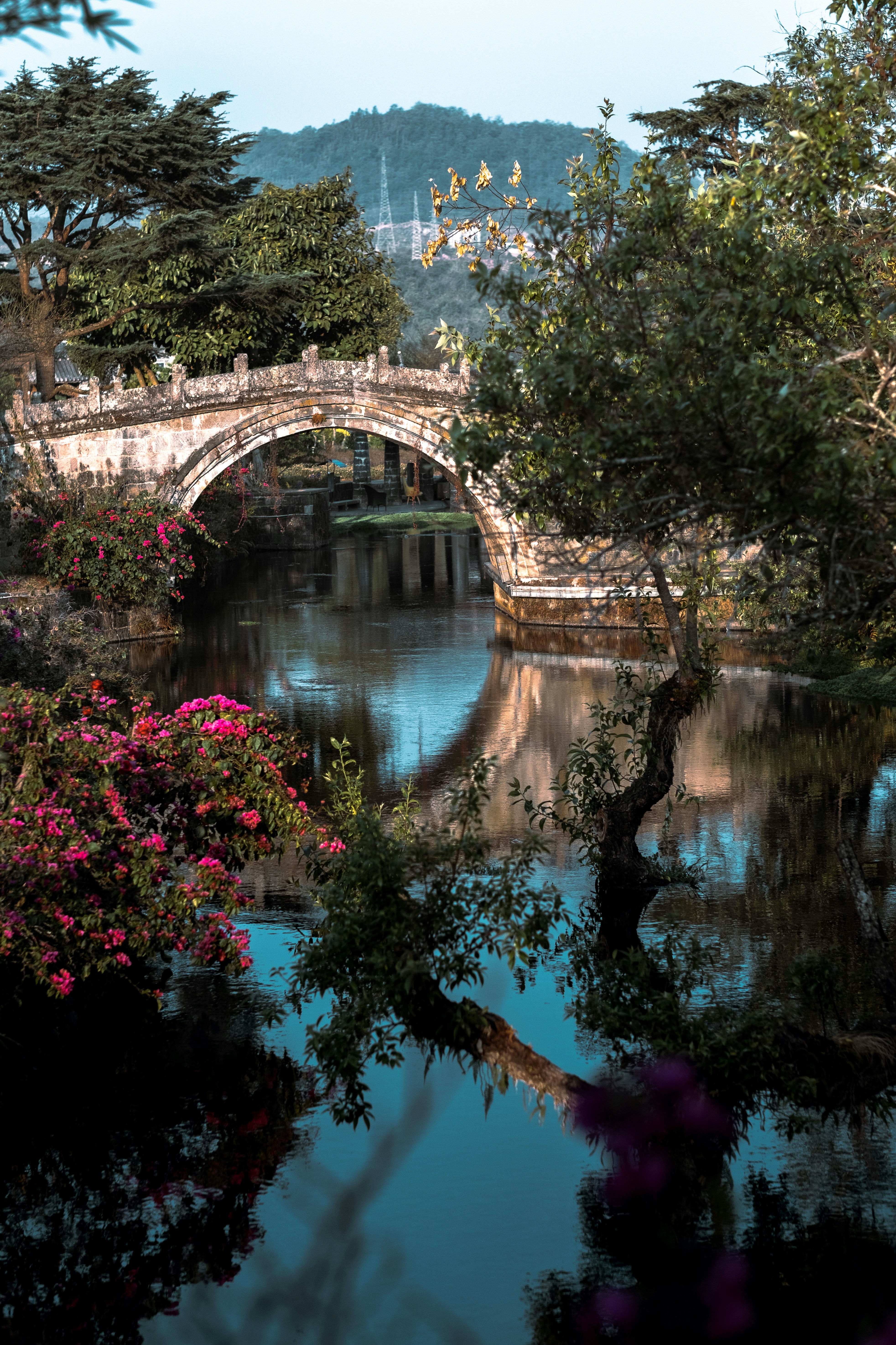 Stone-Arch Serenity: Reflections of a Garden Bridge