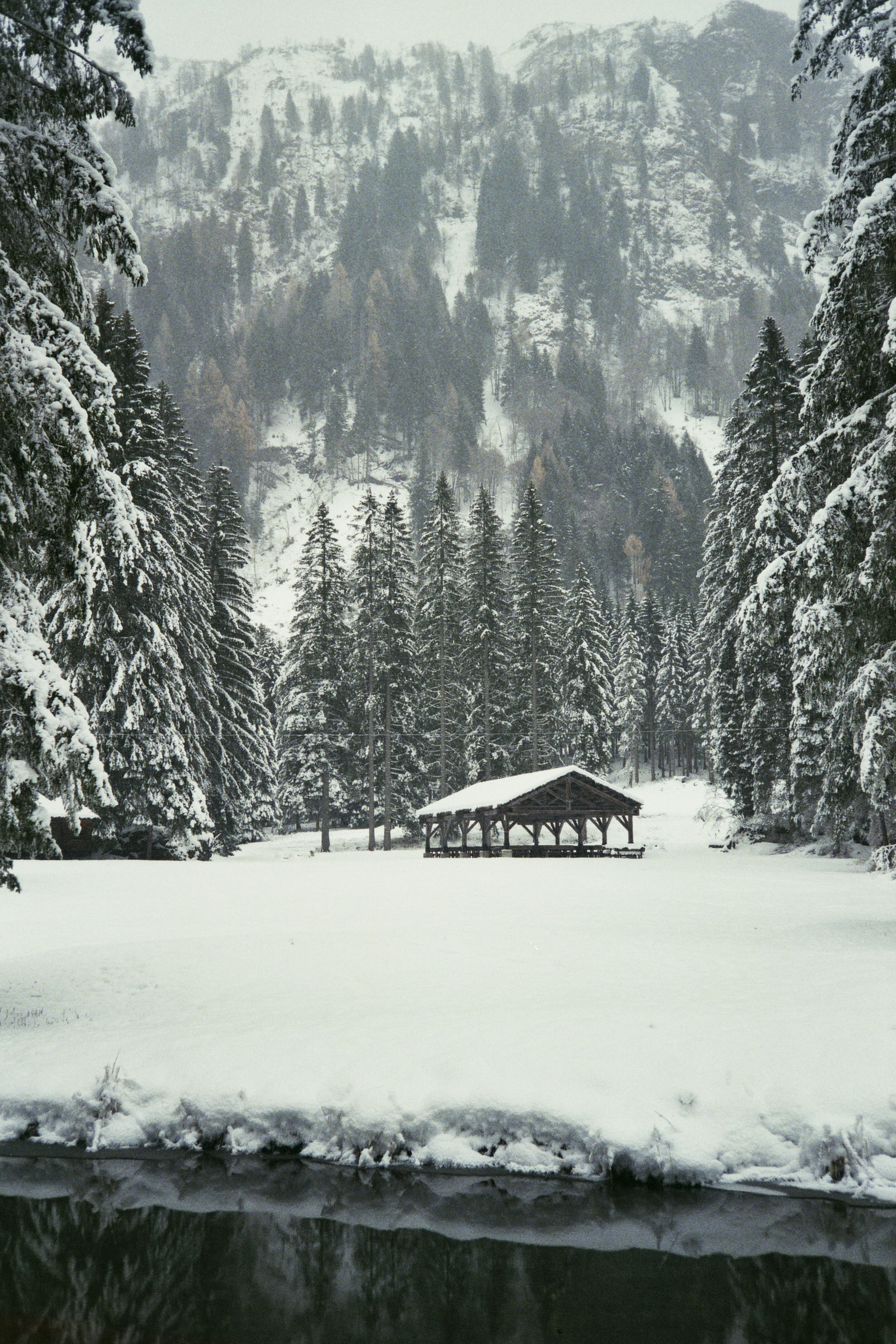 Un paysage enneigé avec des arbres et un bâtiment photo – Photo Val ...