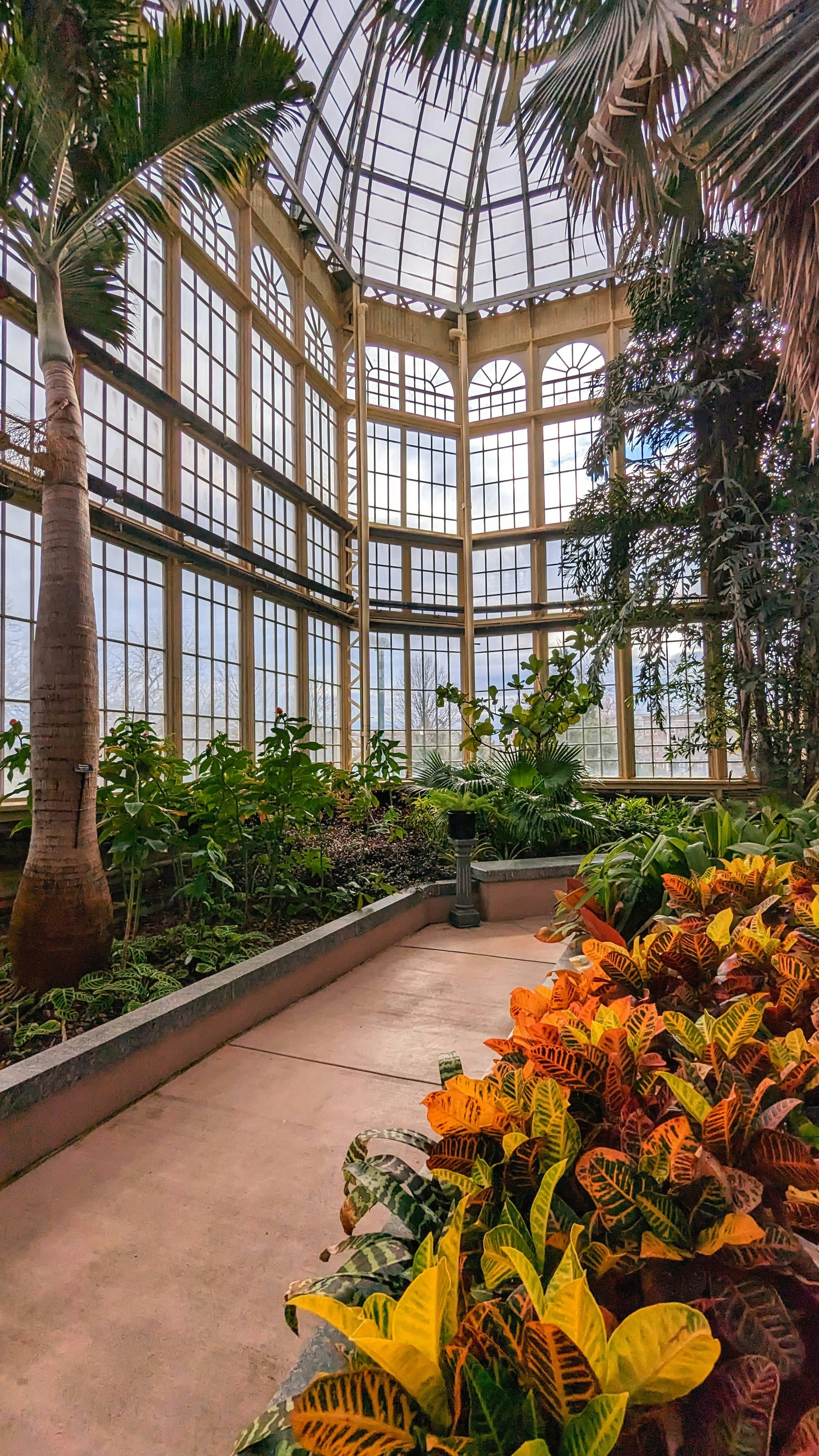Vibrant foliage in a botanical conservatory, showcasing an array of colorful plants beneath a grand glass ceiling.