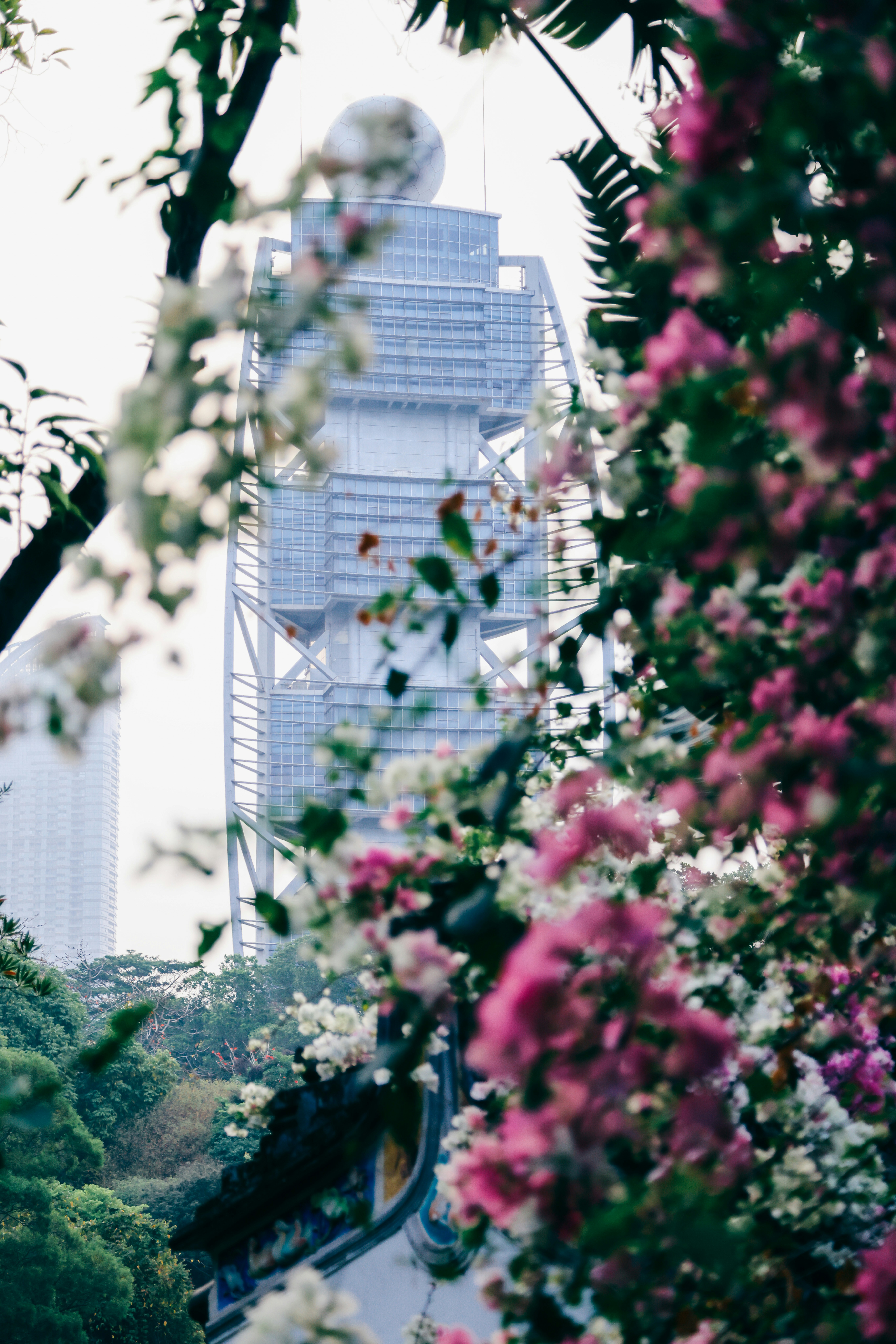 a view of a tall building through the trees