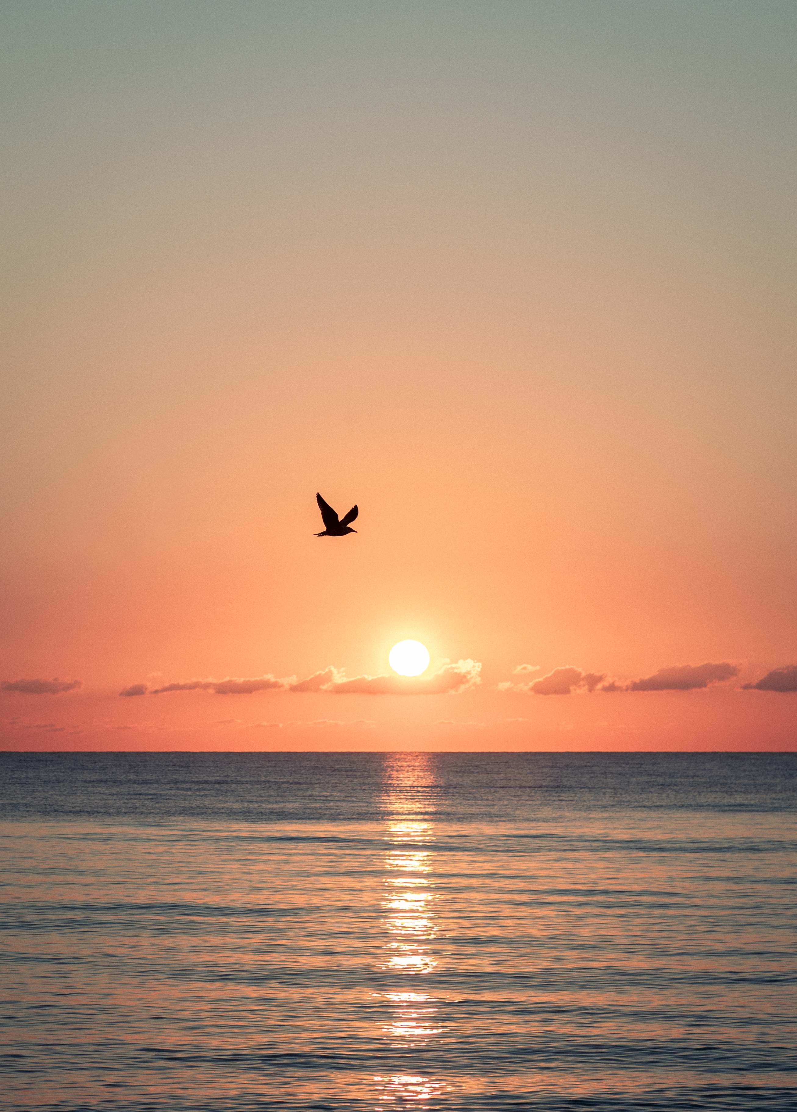 Damack Julien (@dcool_) | Unsplash Photo Community