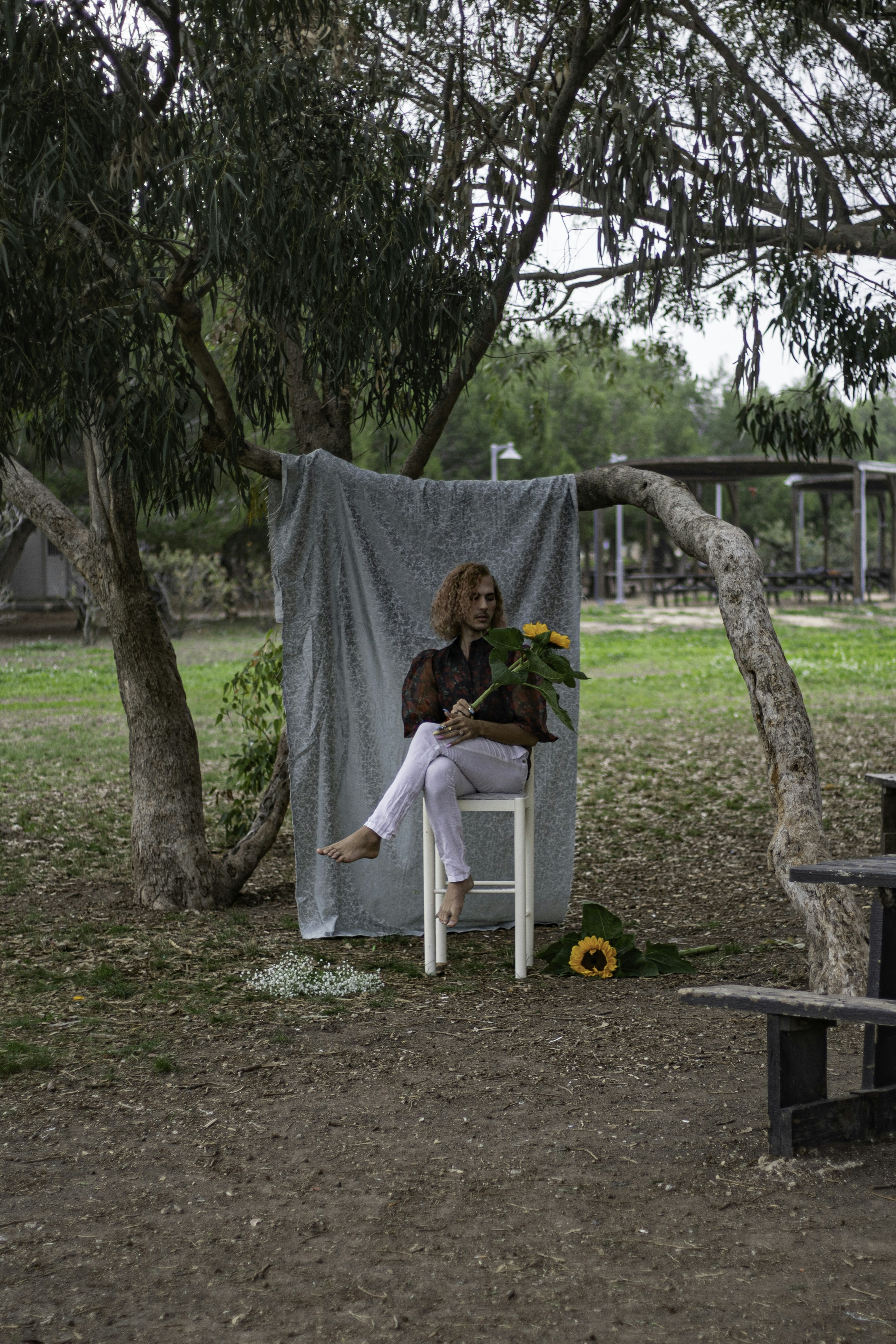 A woman sitting in a chair under a tree photo – Free Park Image on Unsplash