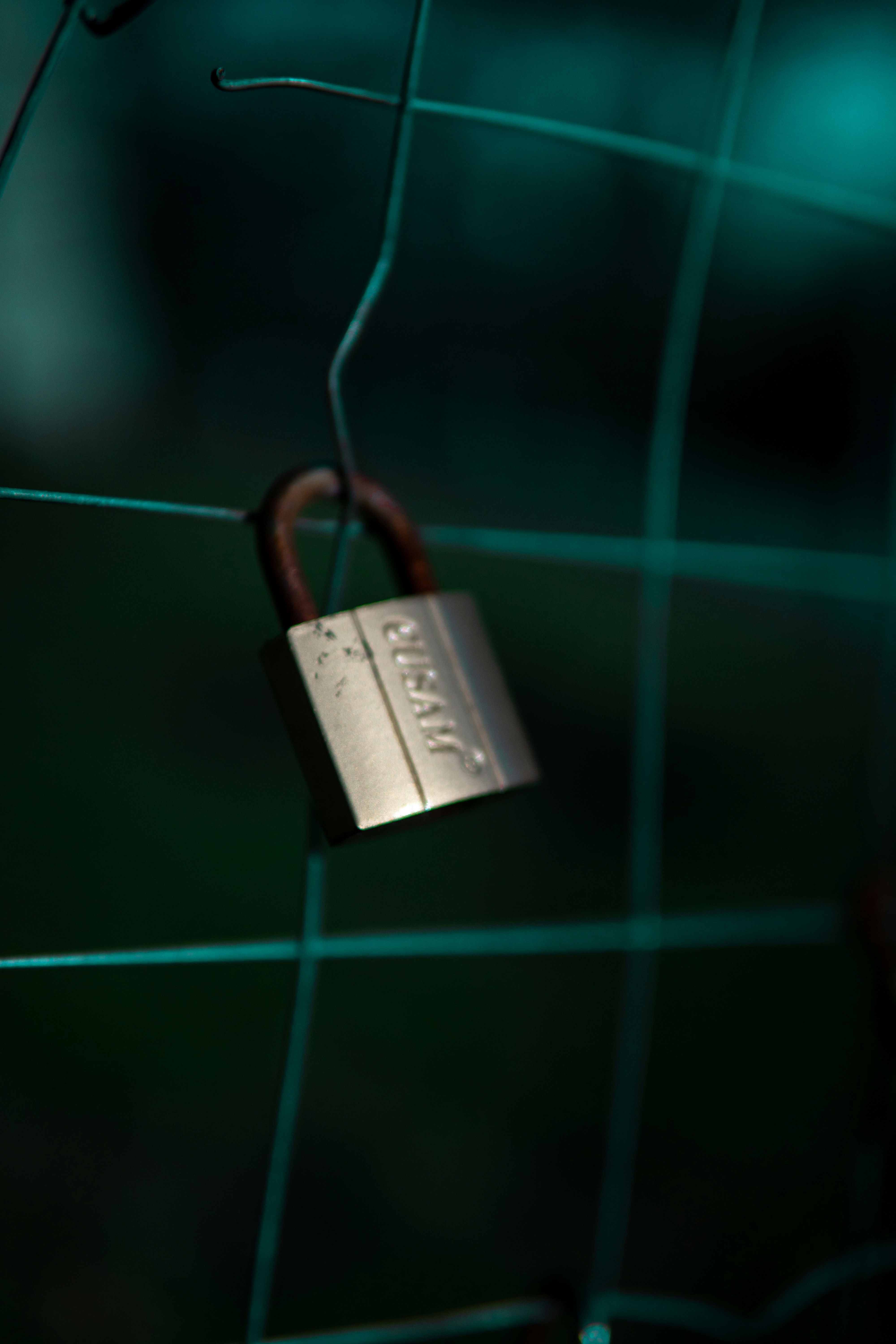 the lock of love