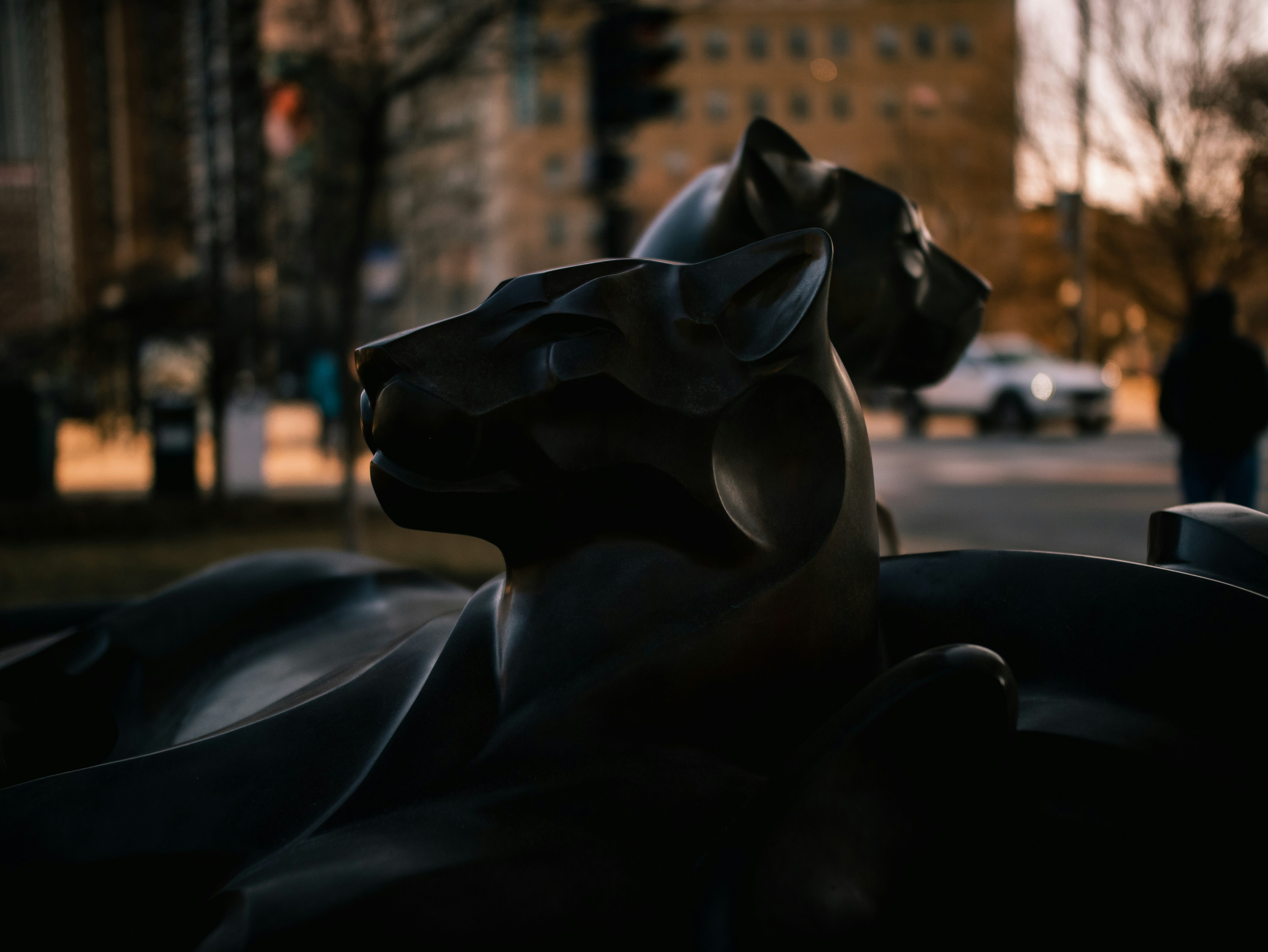 Shadowed Beast: A Quiet Sculpted Moment in the Park