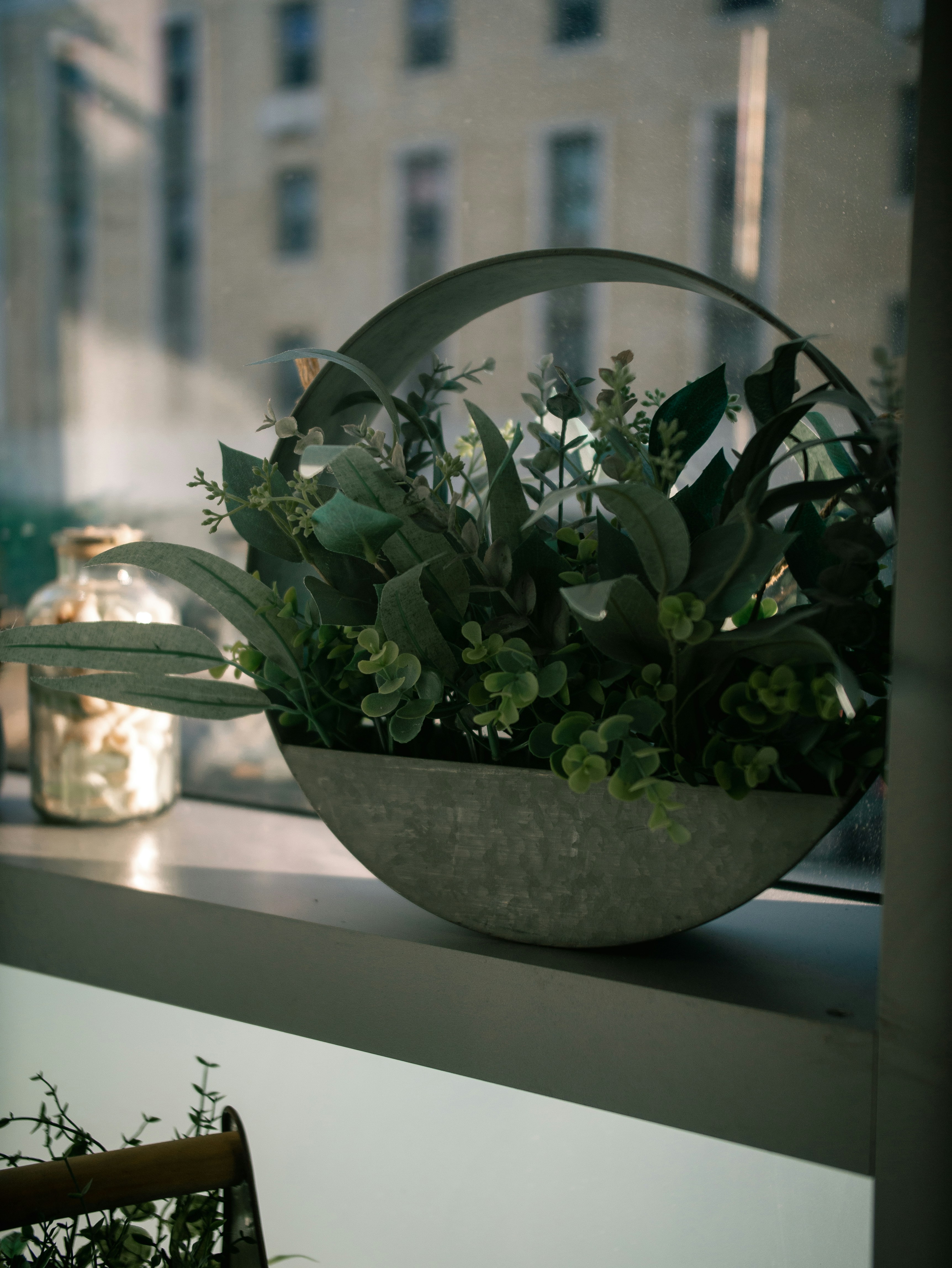 Circular planter on windowsill: lush greenery in a soft indoor vignette