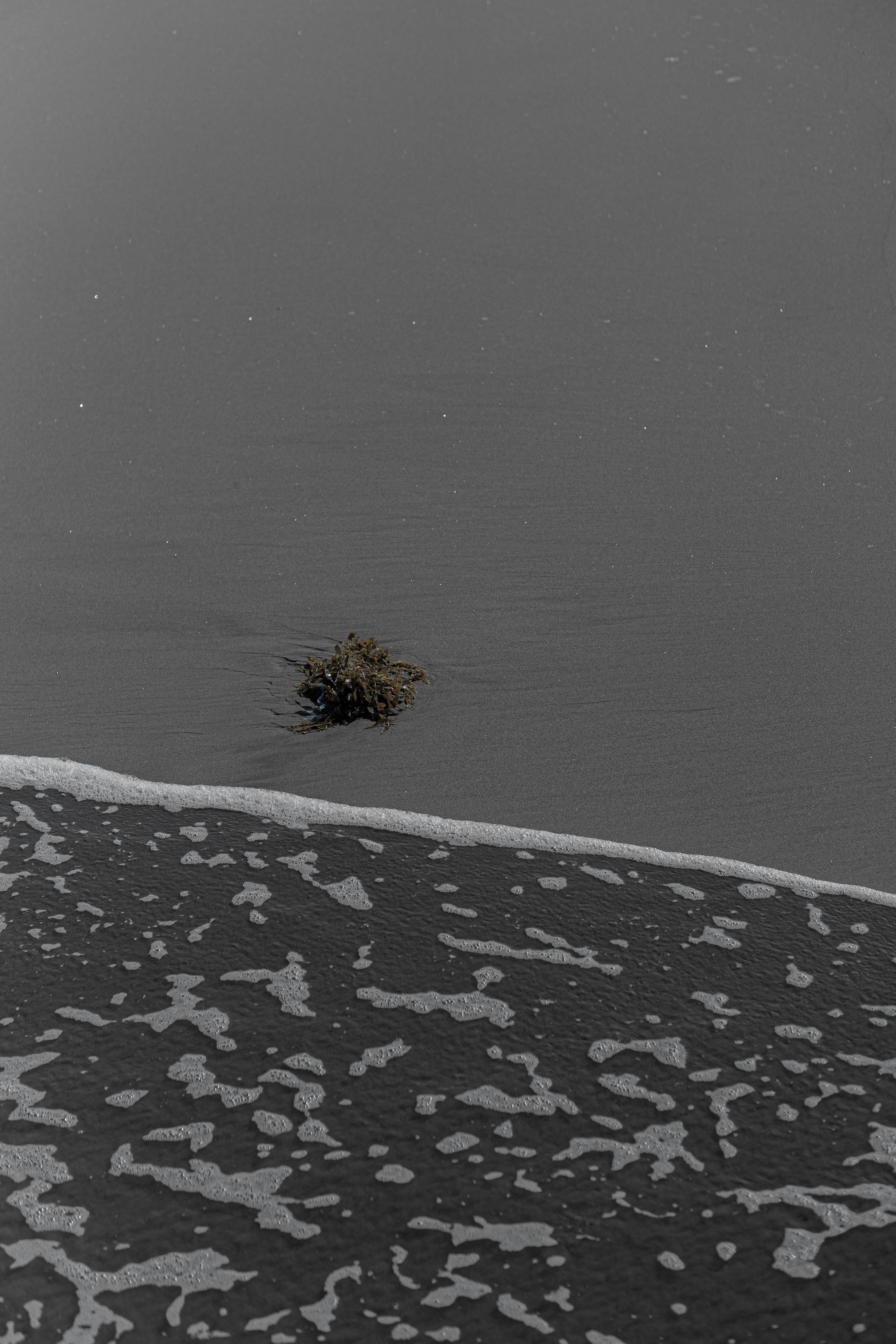 Wisp on the Tidal Margin