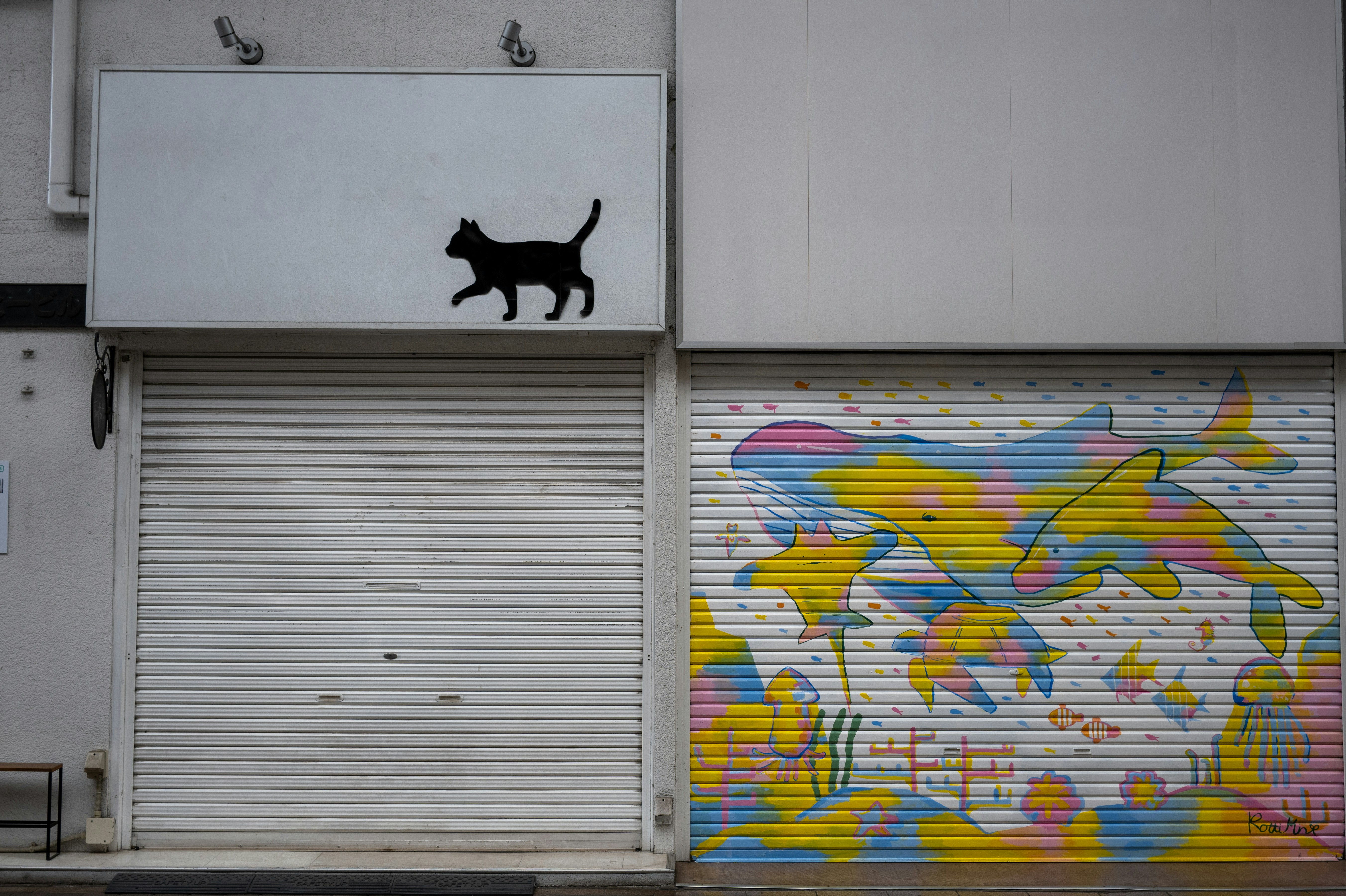 a black cat standing on top of a garage door