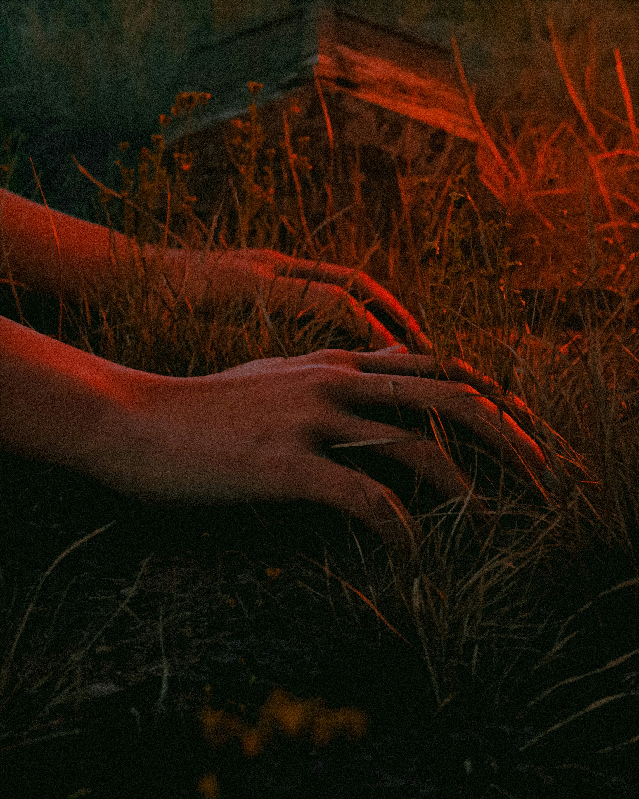 A person's hand resting on the ground in the grass photo – Free Render ...