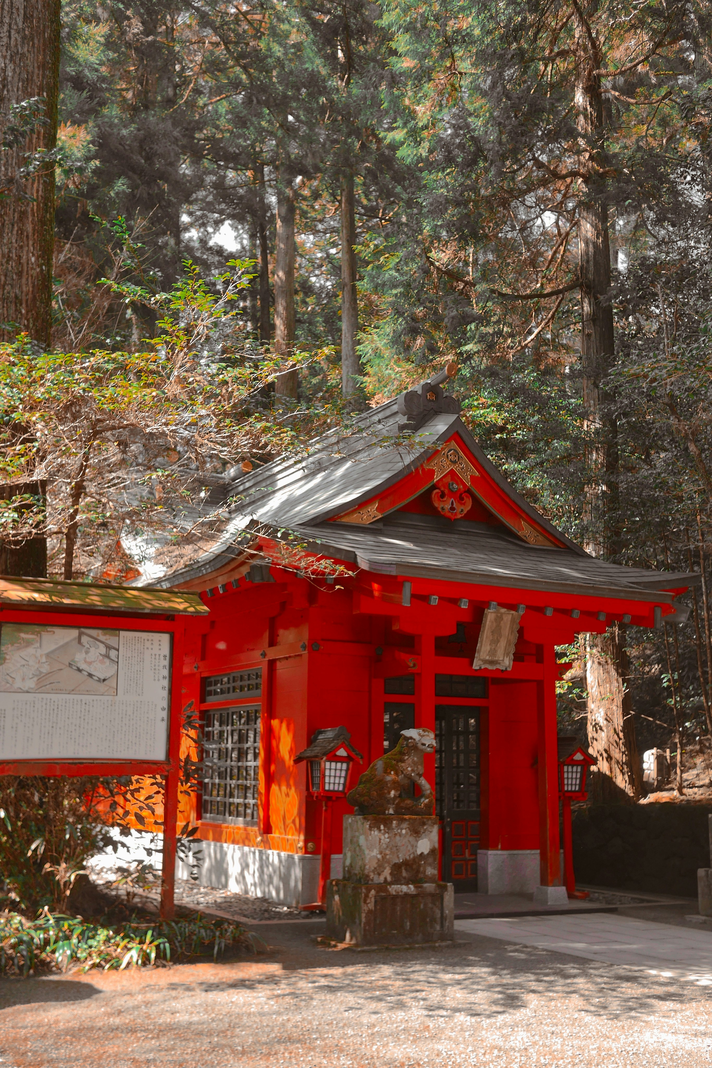 A small red building in the middle of a forest photo – Free Hakone ...