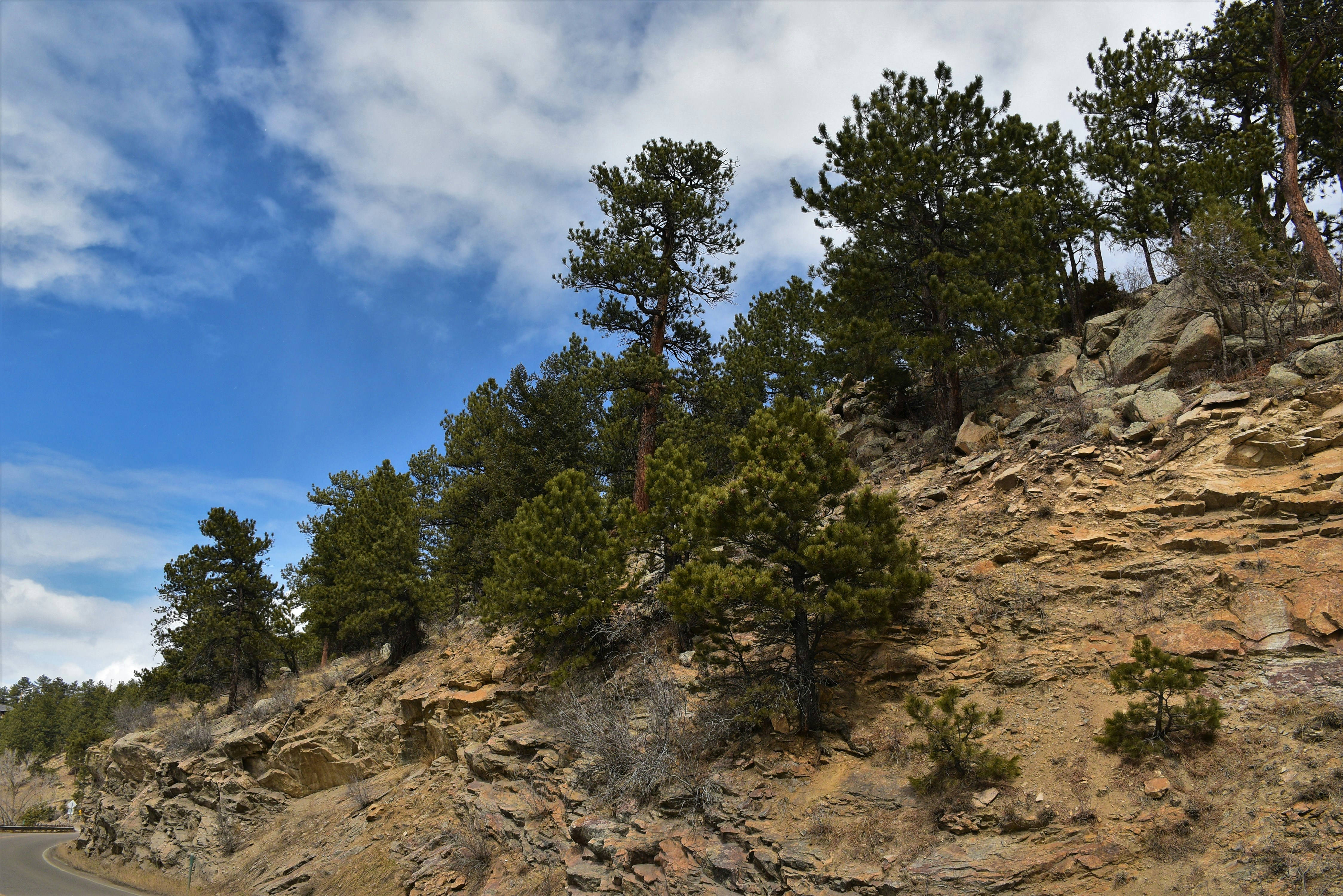 Chemin Evergreen Mills Photos | Télécharger des images gratuites sur ...