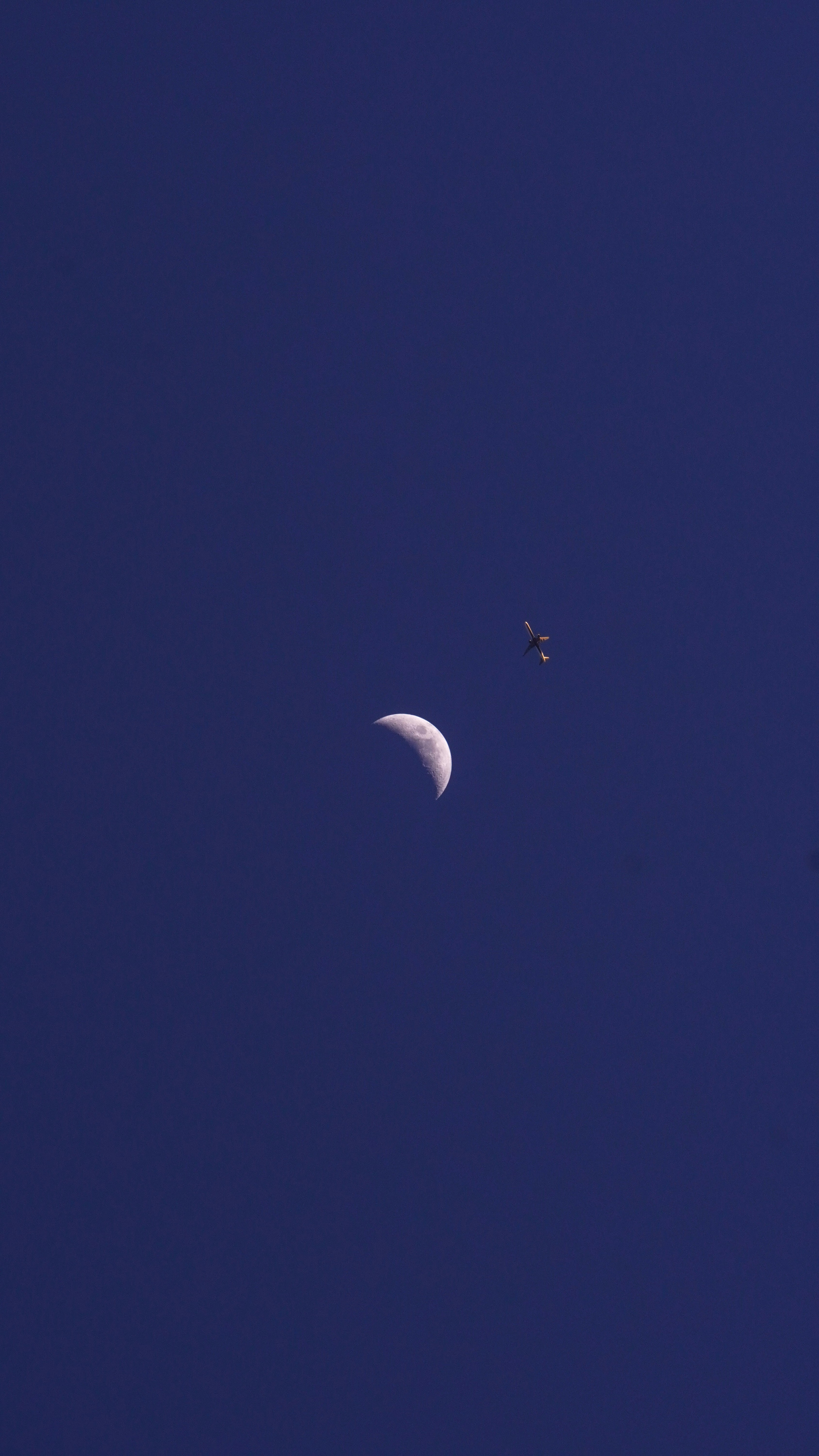 A bird flying past the moon in a blue sky photo – Free Moon Image on ...