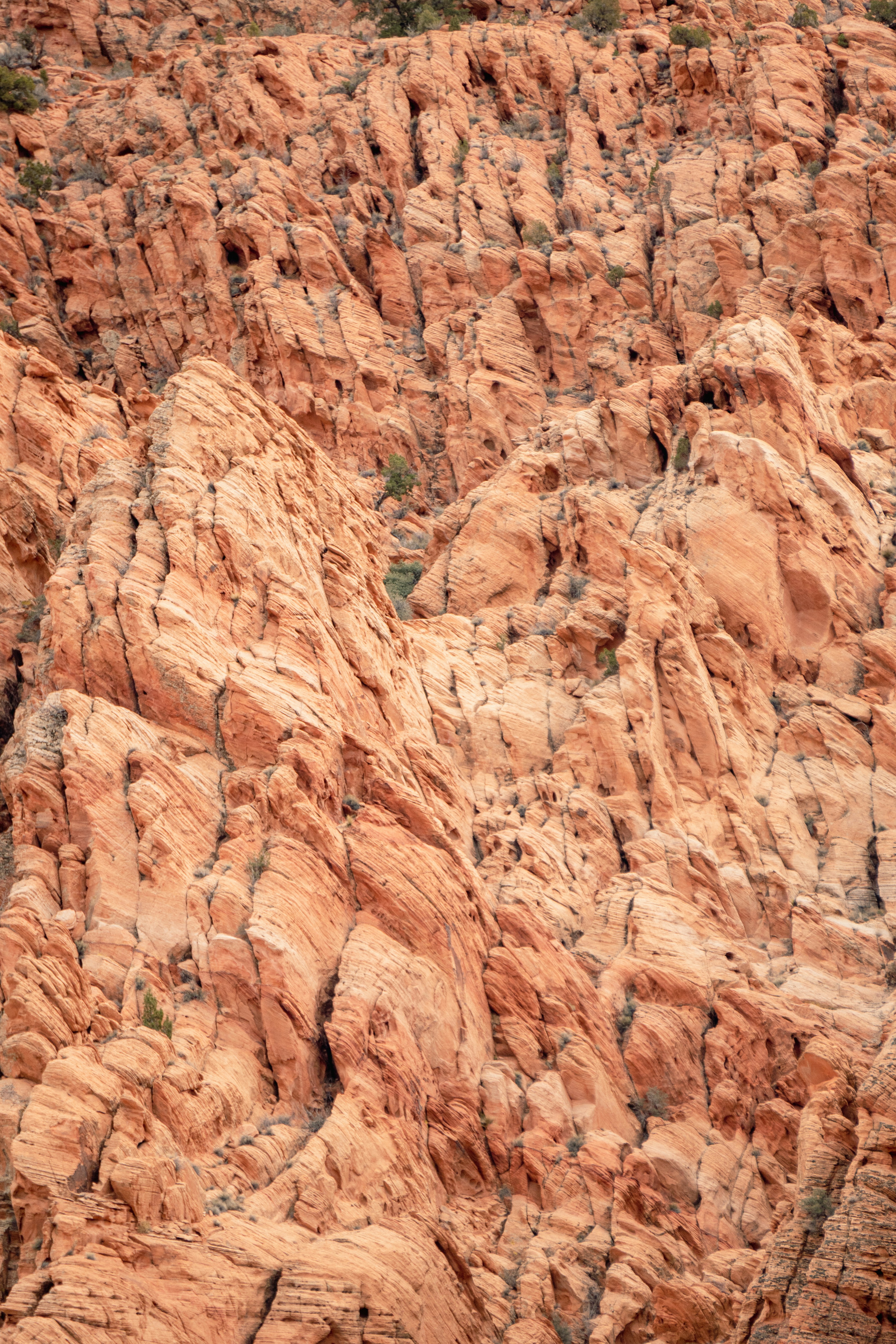 A bird is perched on a rock formation photo – Free Usa Image on Unsplash