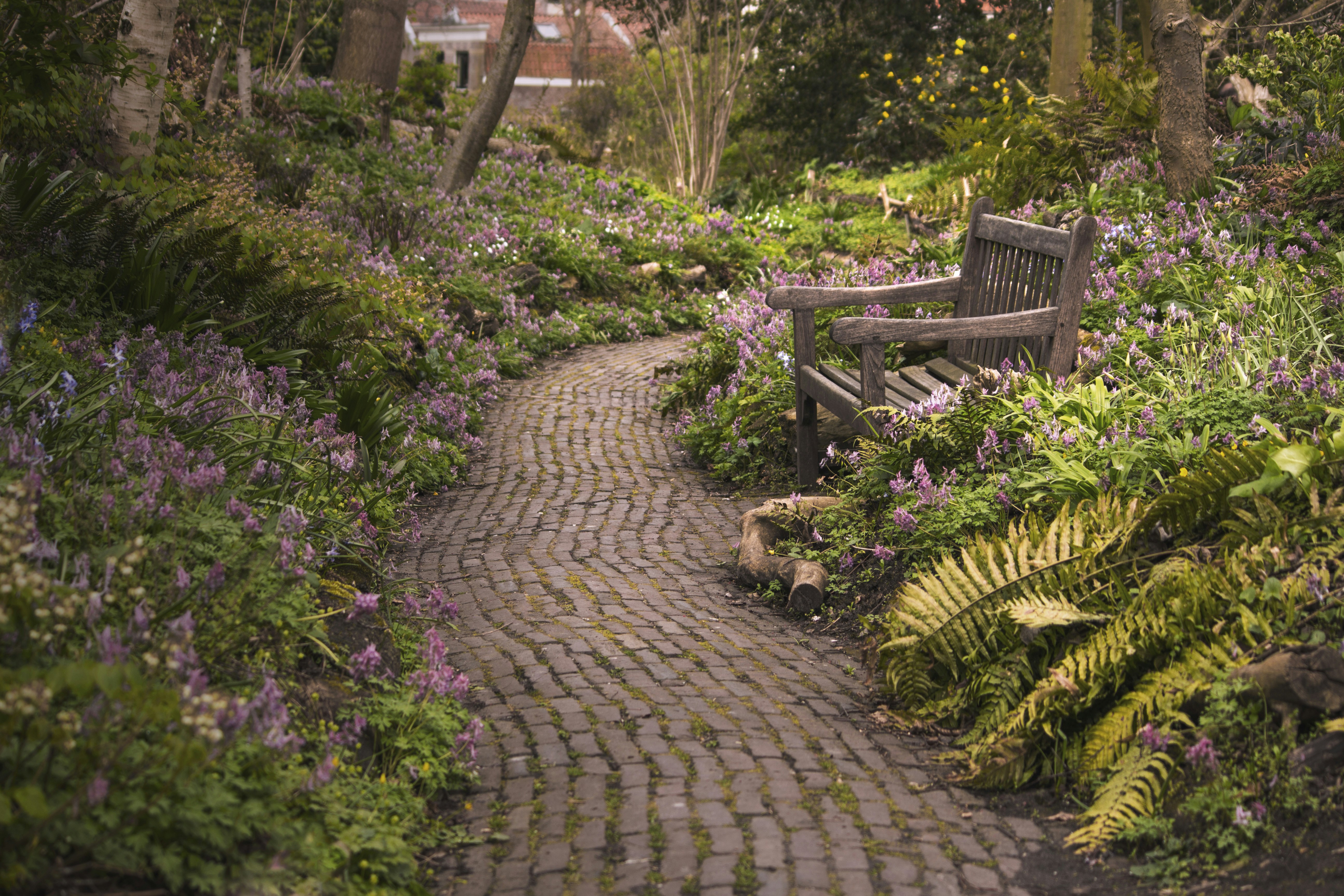 Cobblestone path winding through a lush garden with purple flowers and a wooden bench.