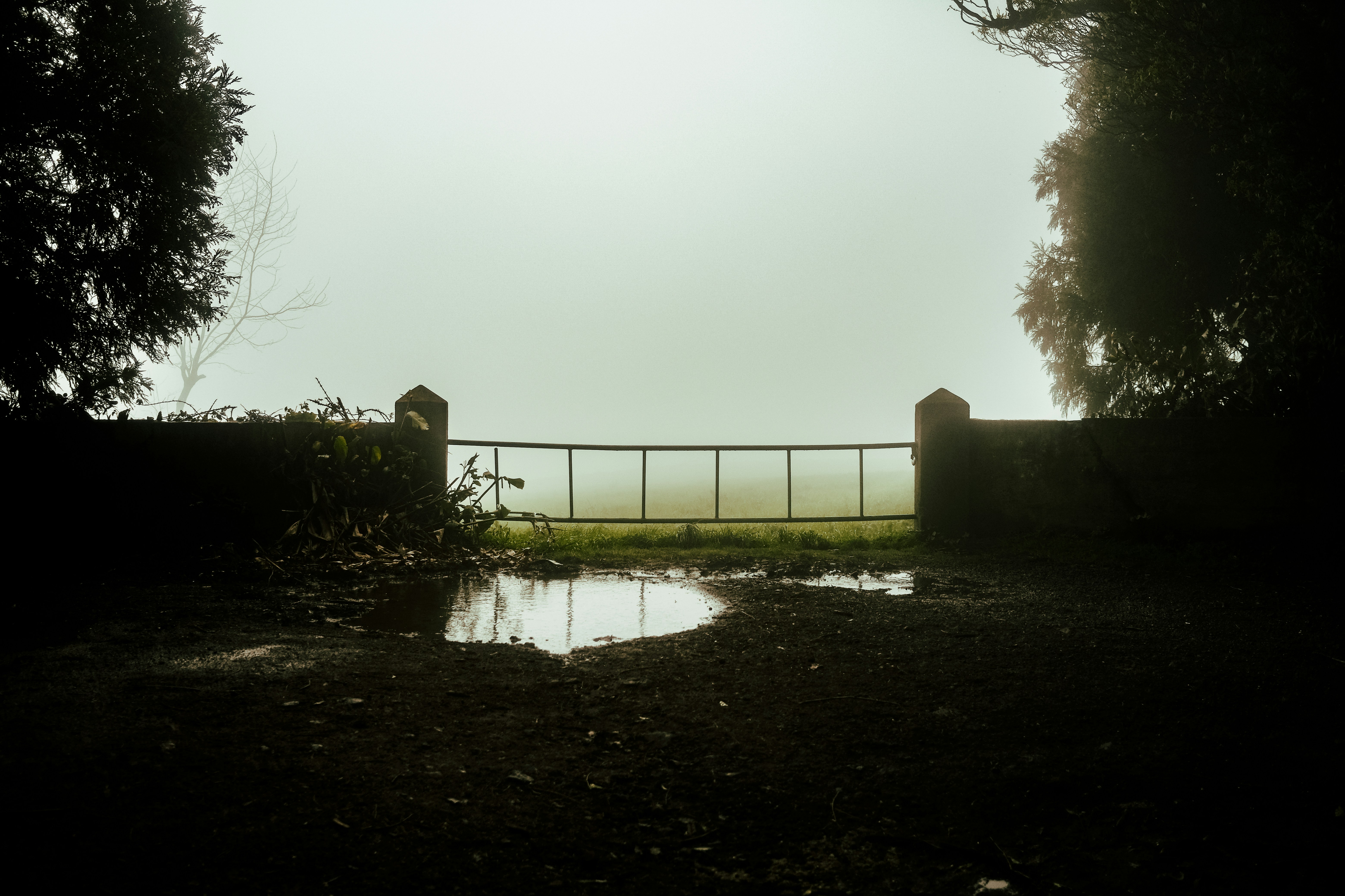 The Gate at the Misty Verge