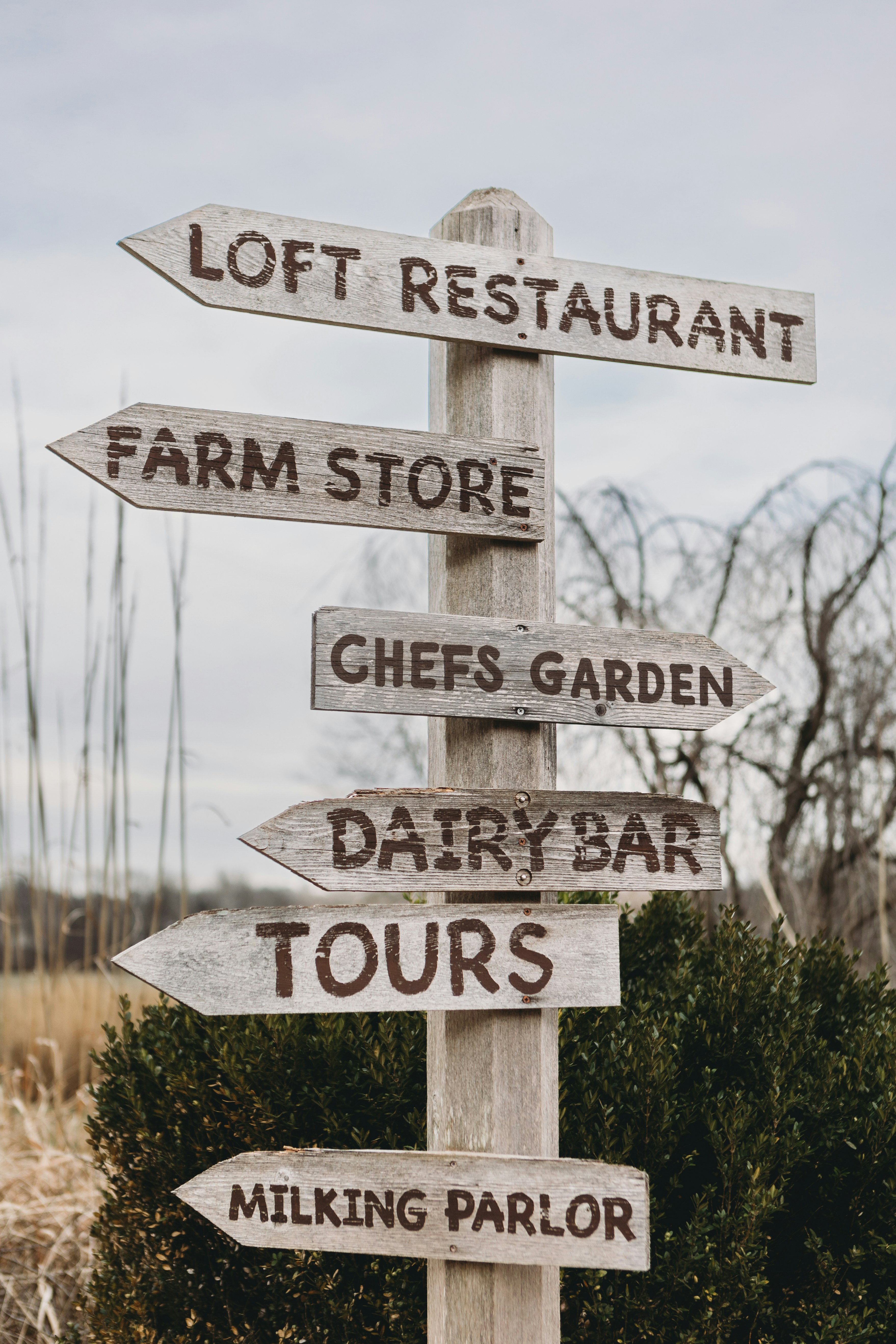 Dairy Bar and Milking Parlor