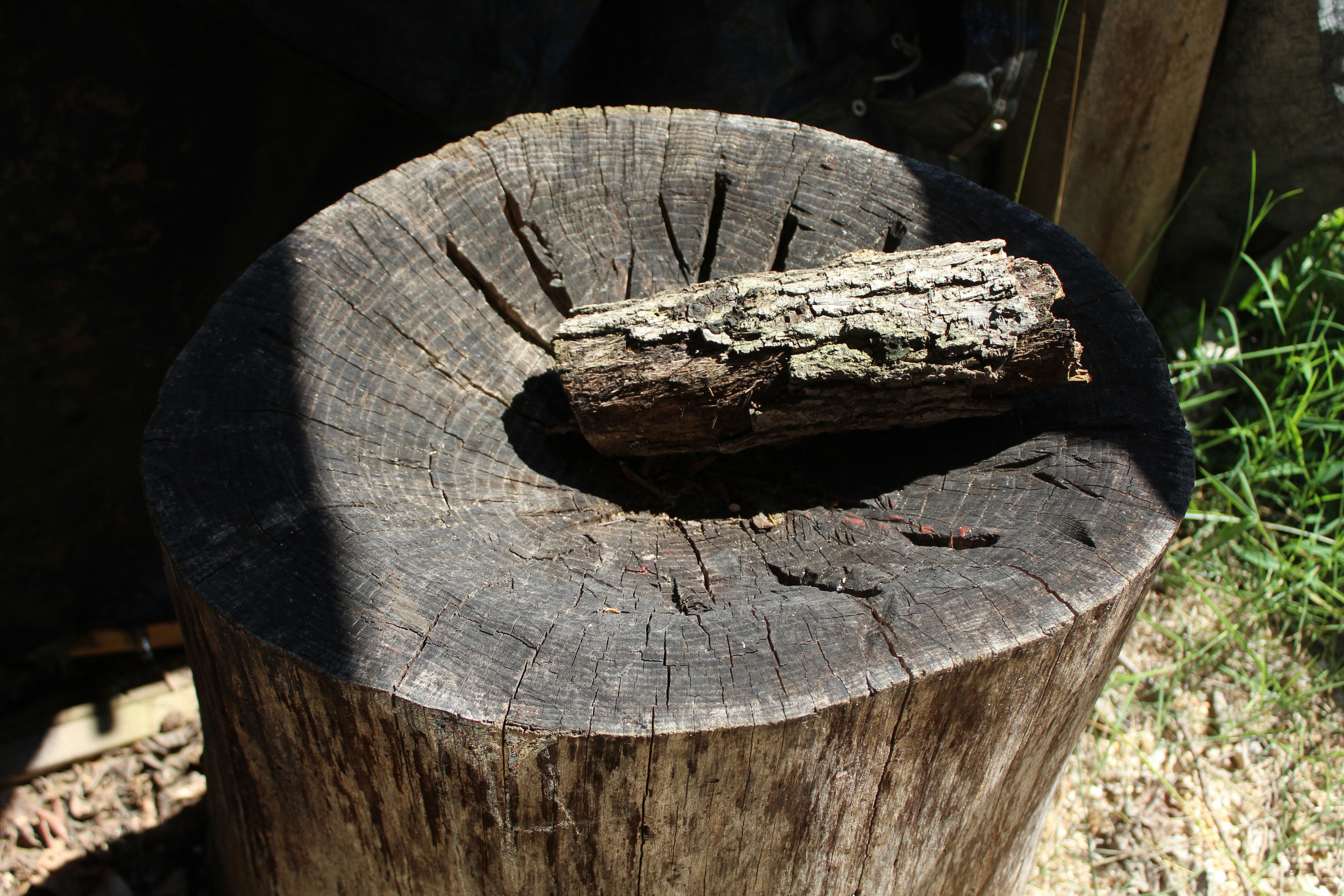 Photo by Susan (Lewis) Penix with Canon EOS 4000D