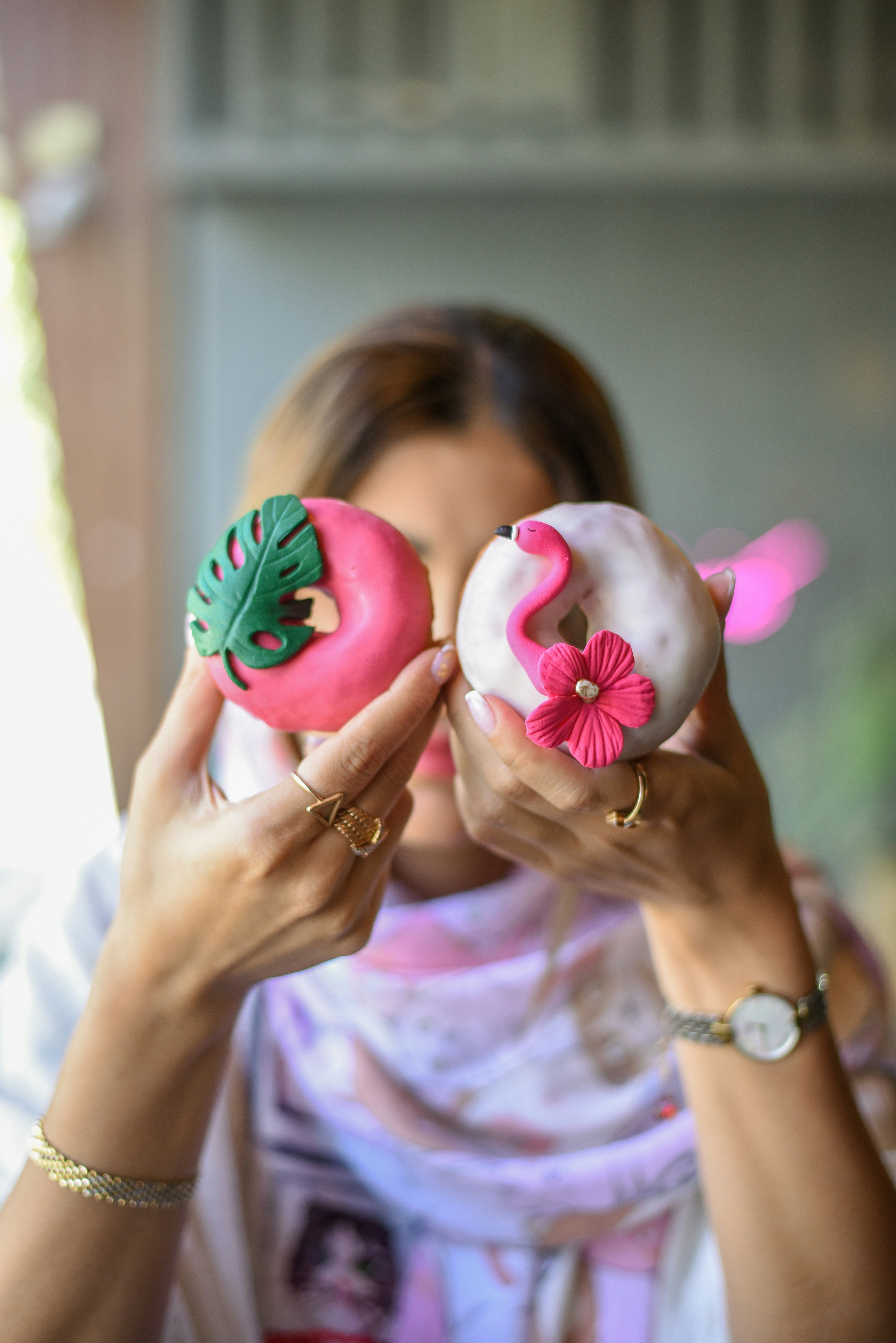 Doughnut Duo: Floral Pink and Leafy Green Framed by Velvet Blur