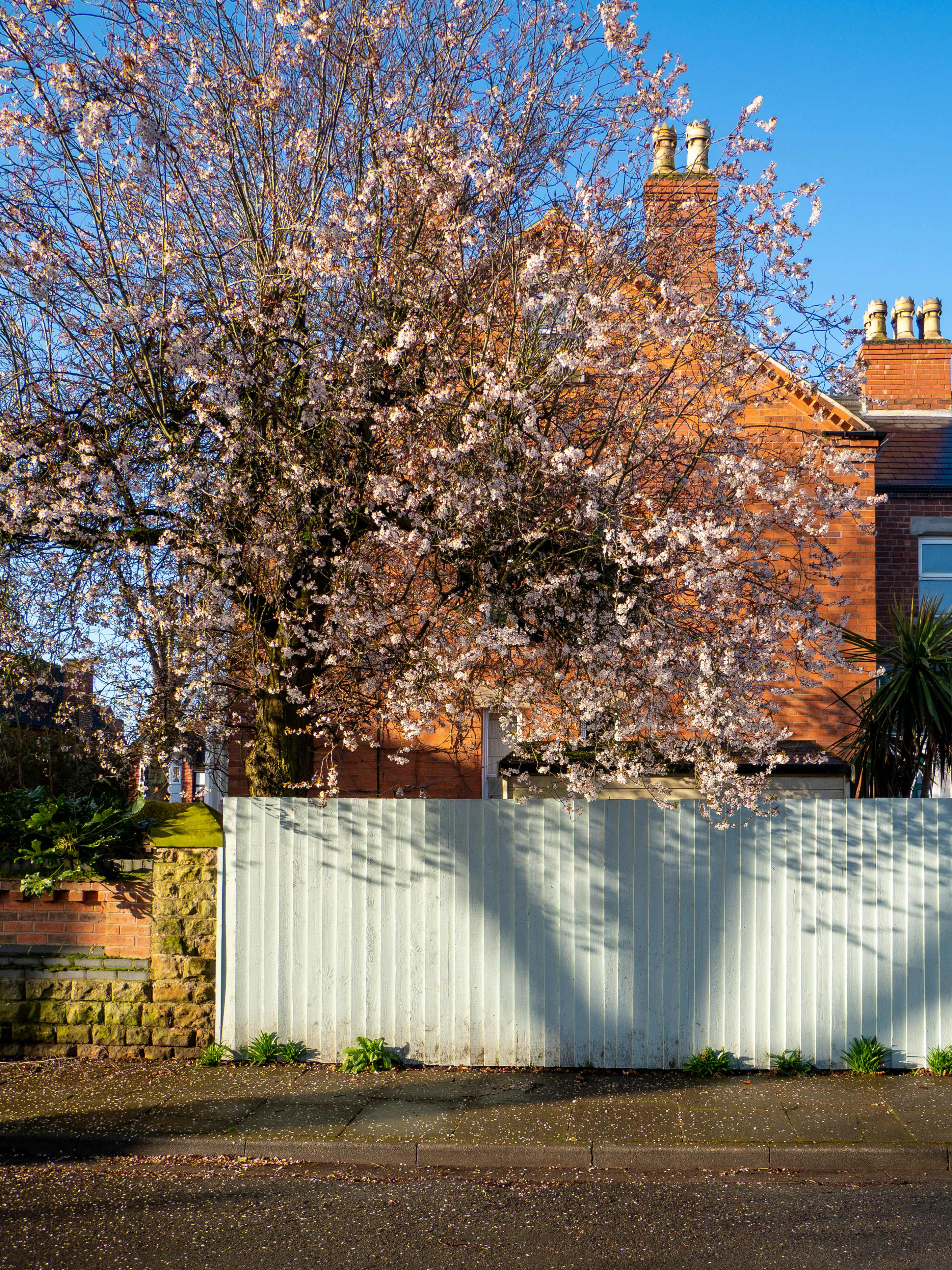 Photo by Mark Hamilton with Olympus OM-D E-M5 Mark II