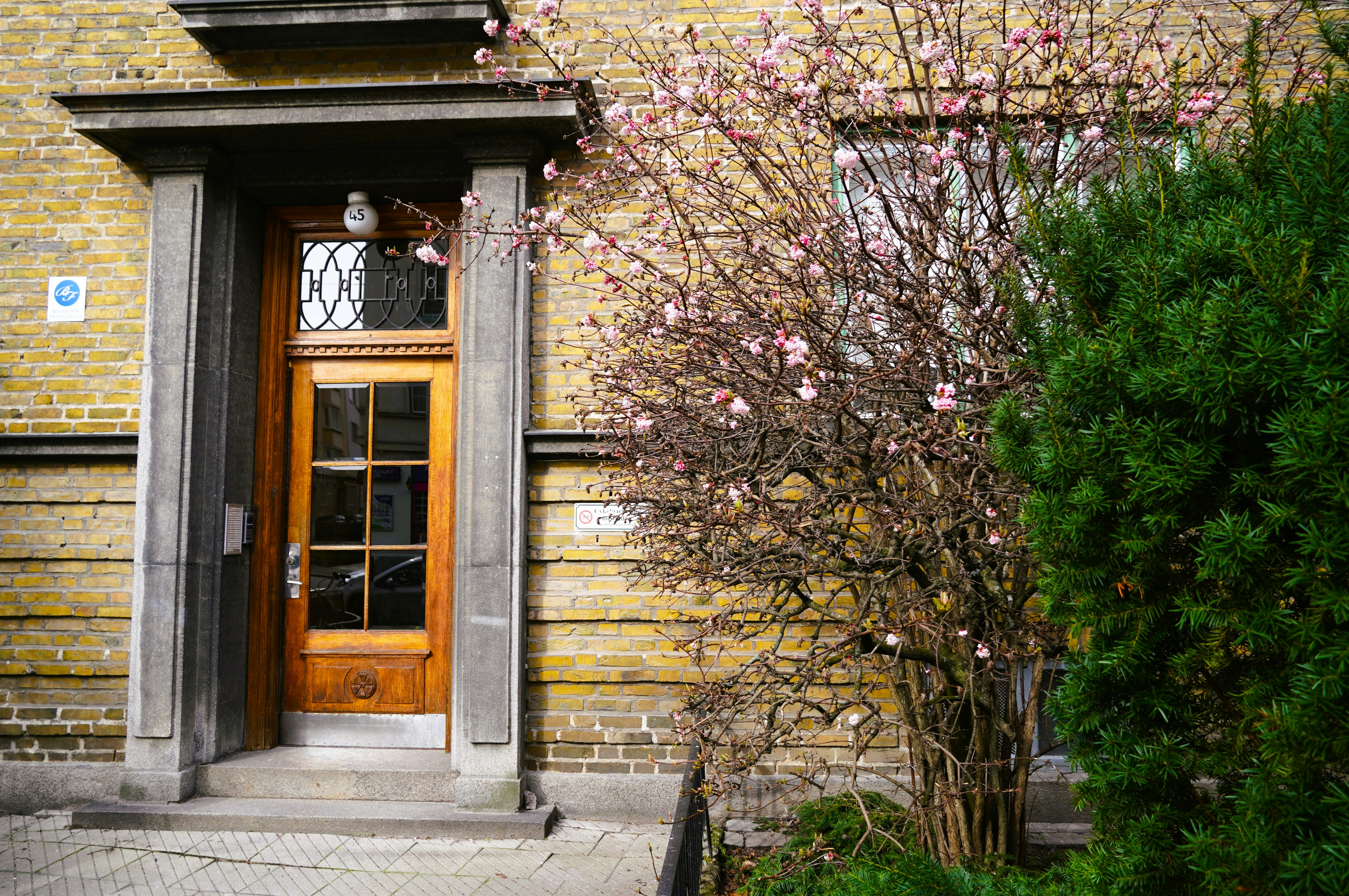 Amber Doorway Framed by Spring Blossoms on a Brick Facade