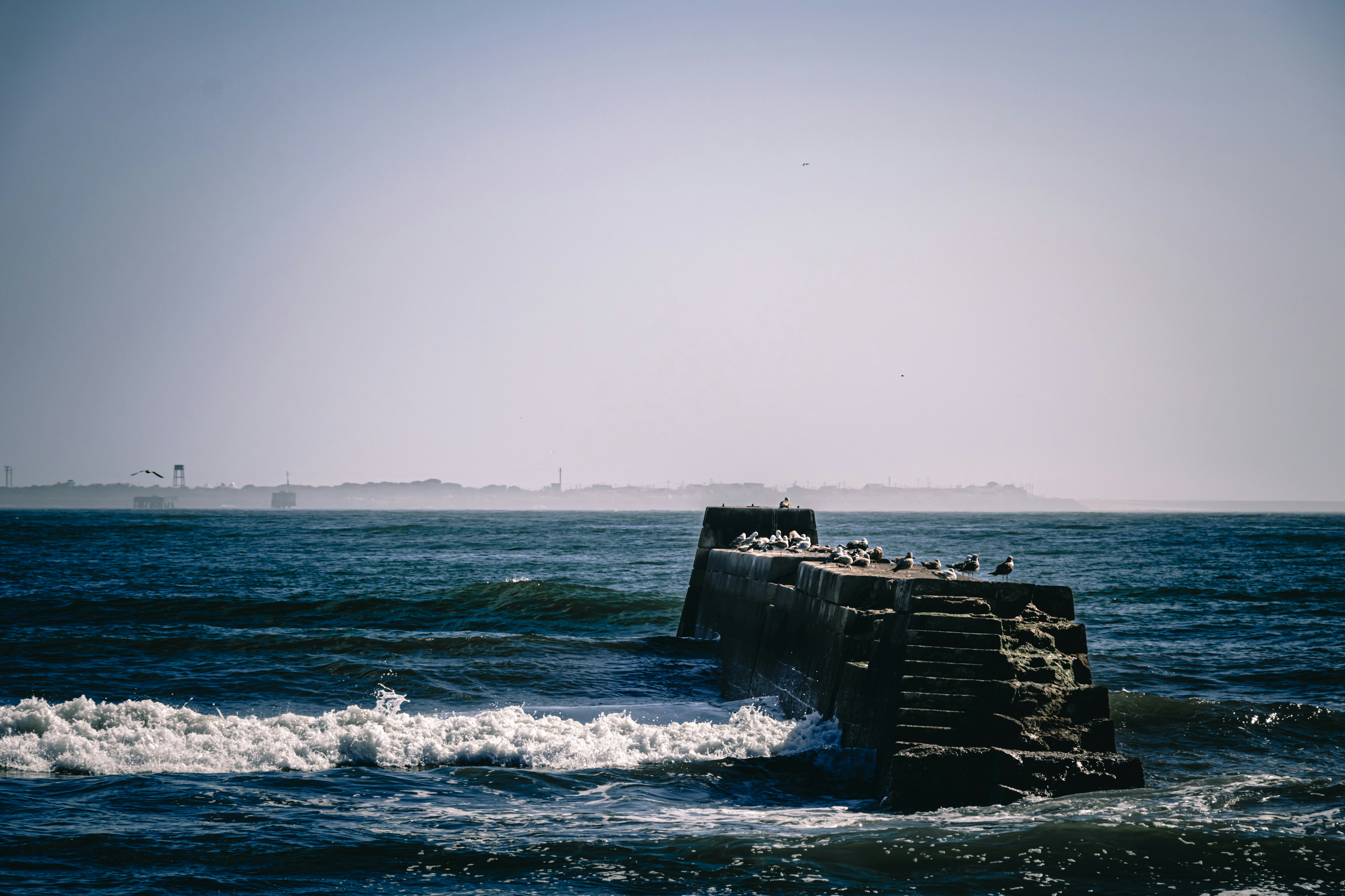 Photo by João Reguengos with Canon EOS R10