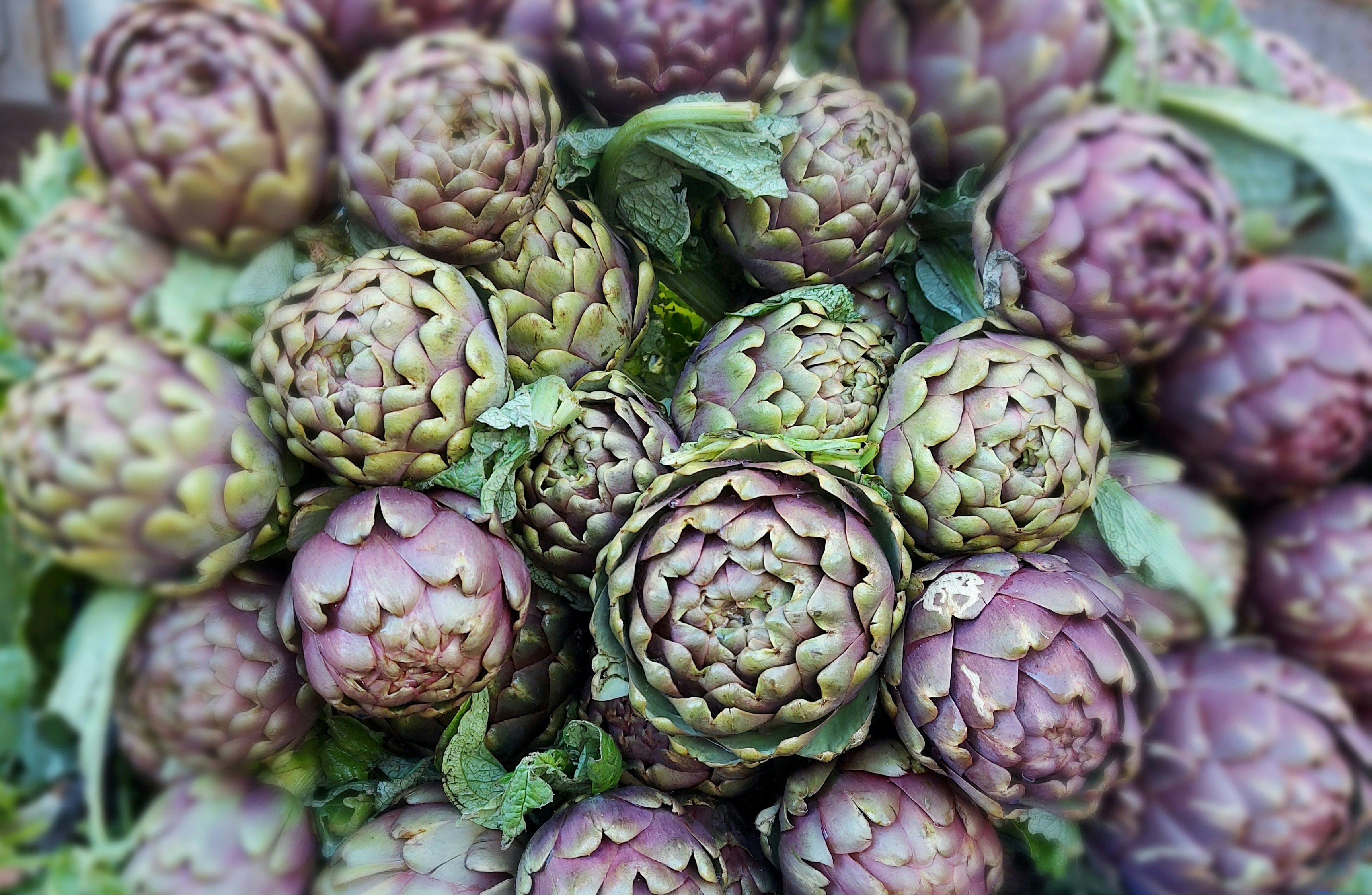 A vibrant cluster of artichokes showcasing their intricate layers and textures against a backdrop of leafy greens.