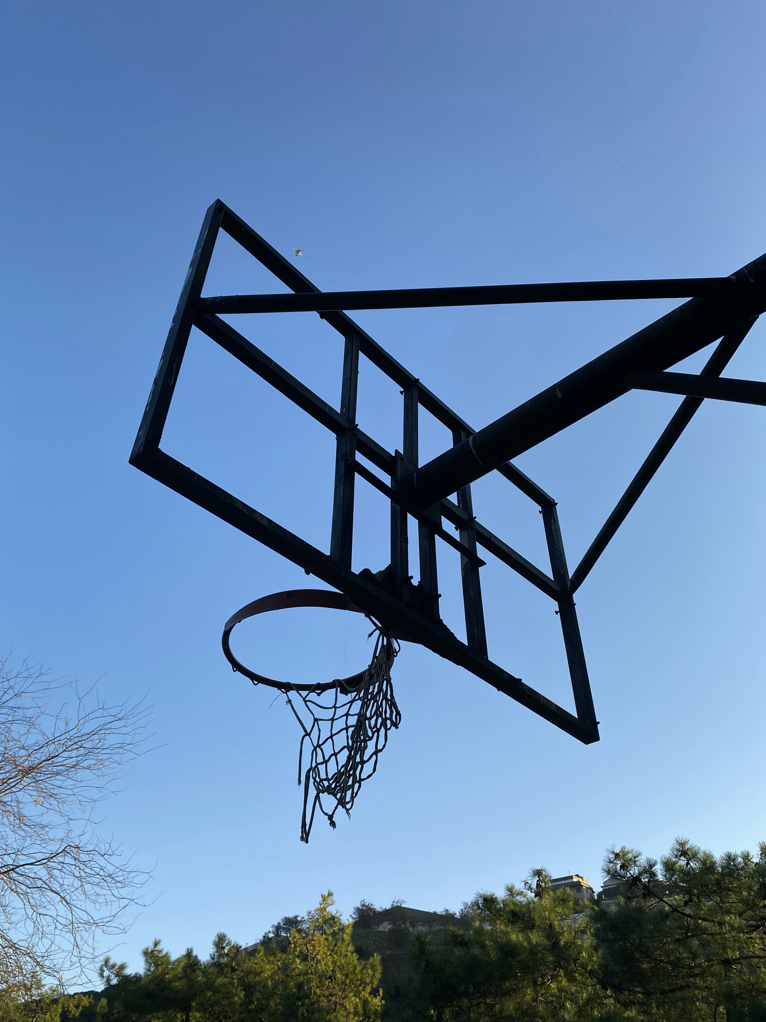 Basketball Rim Pictures | Download Free Images on Unsplash