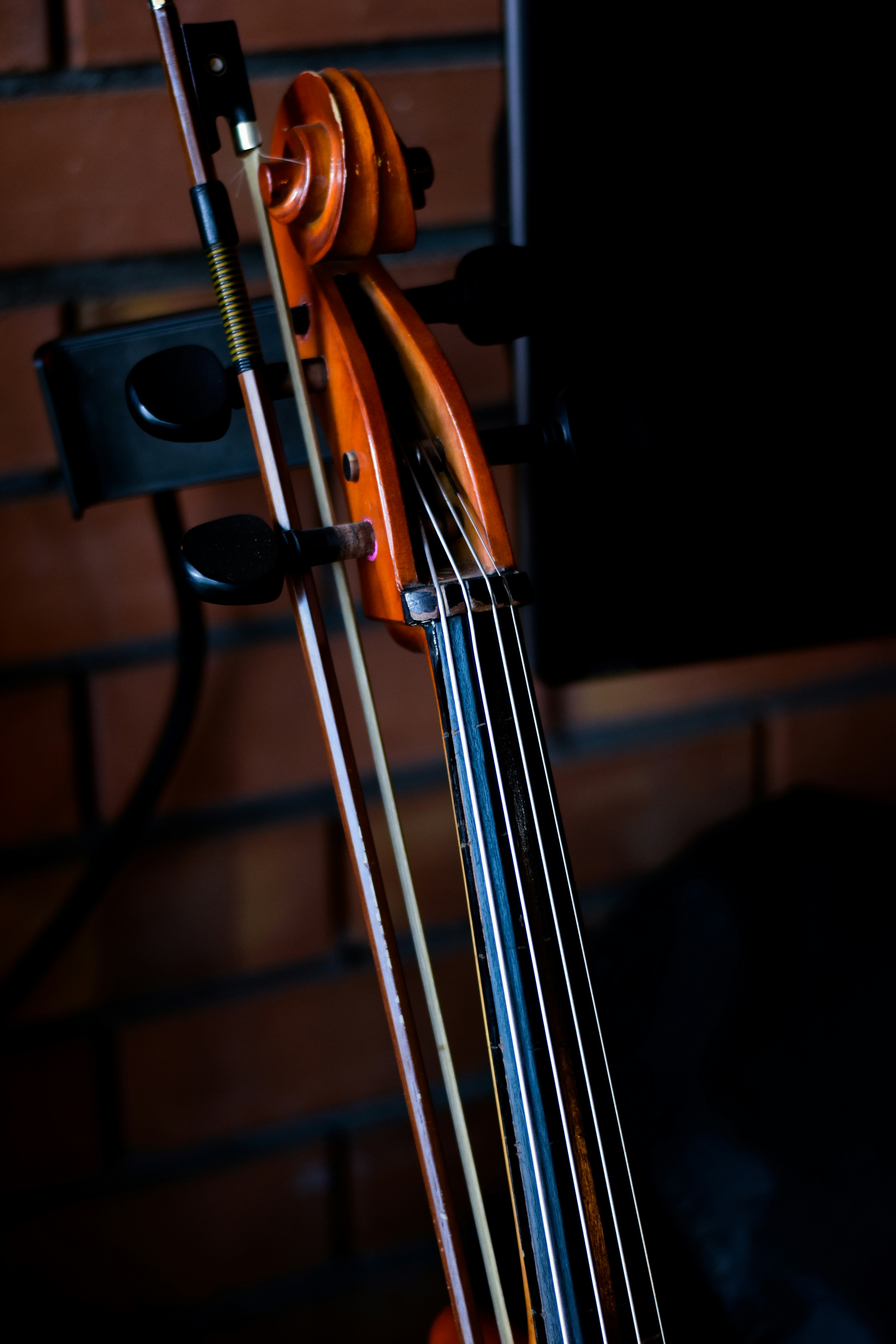 A close up of a violin on a stand photo – Free Violin Image on Unsplash