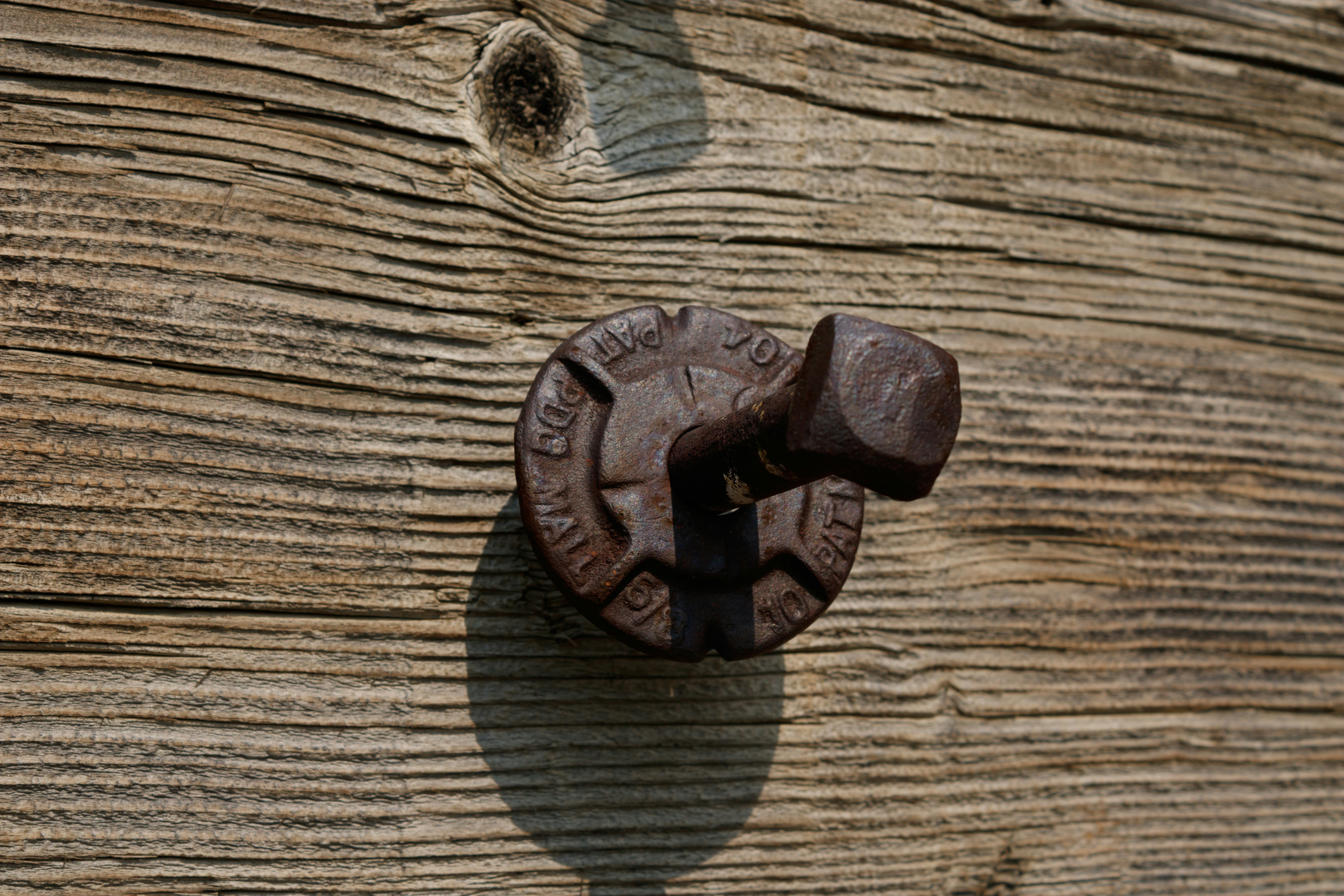 Rusted Bolt at the Heart of Weathered Timber