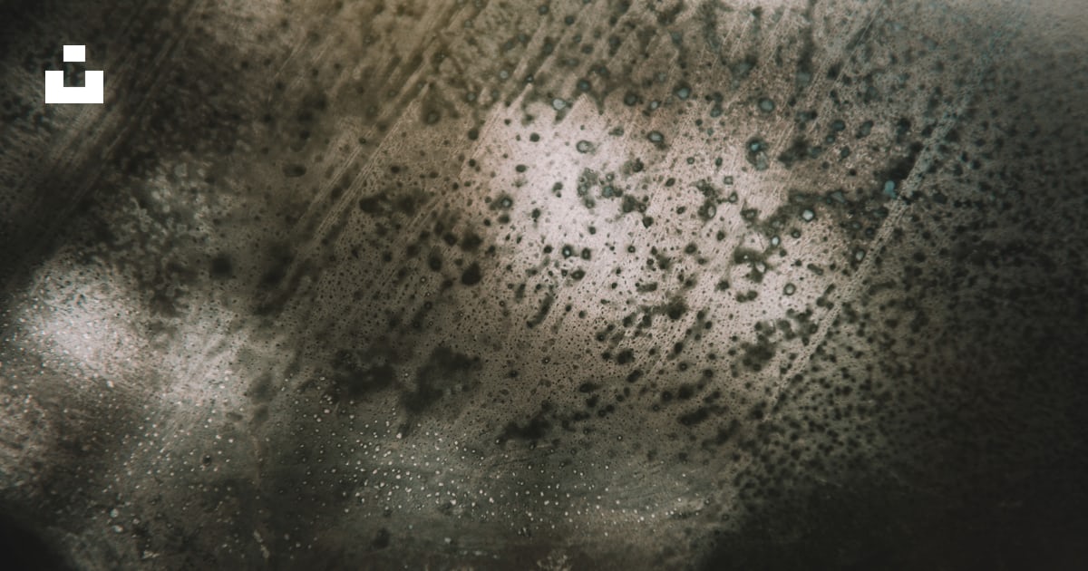 Rain Drops On The Glass Of A Window Photo Free Simplistic Home Image